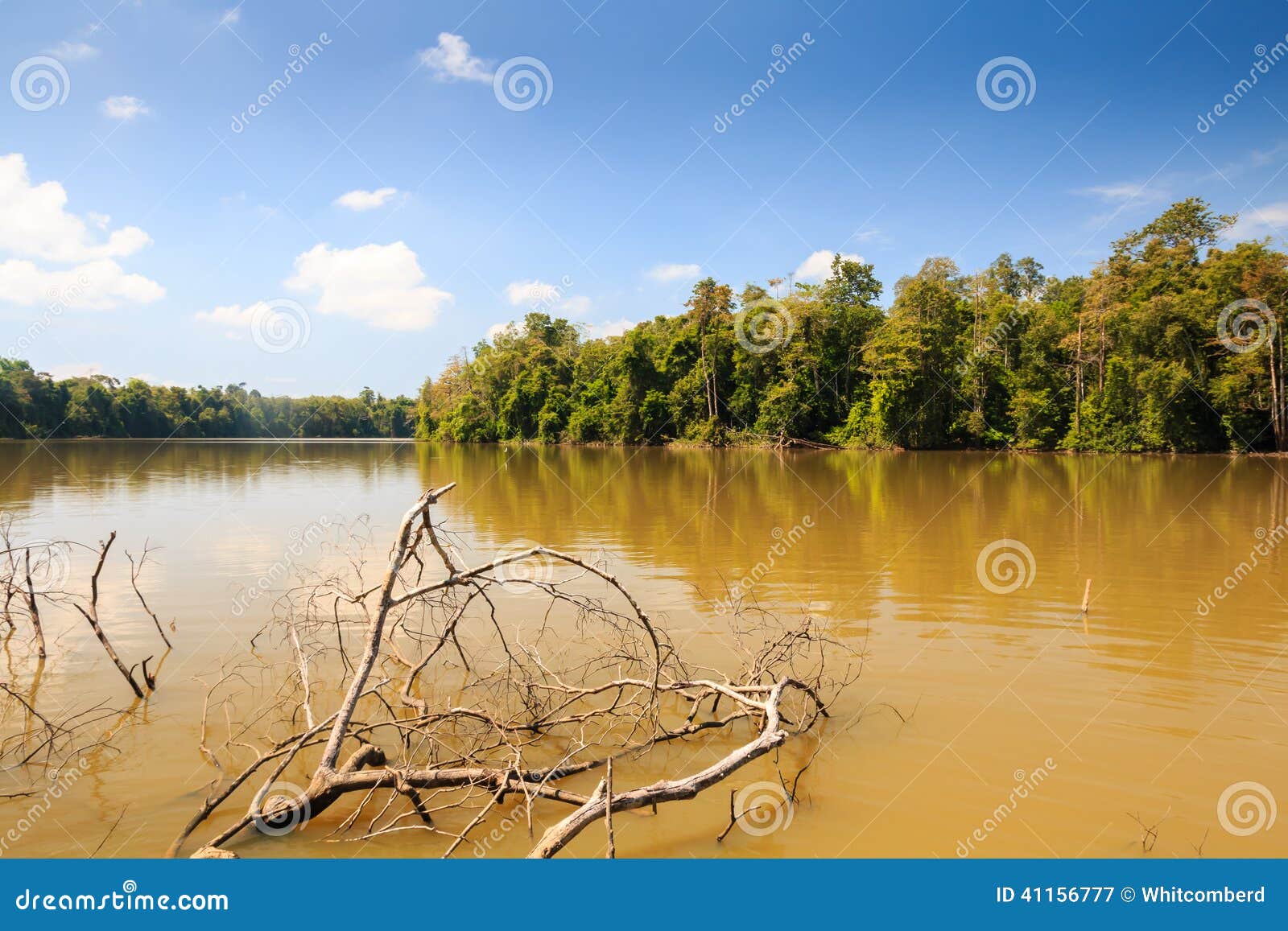 A Large Oxbow Lake in a Tropical Rainforest Stock Image - Image of ...