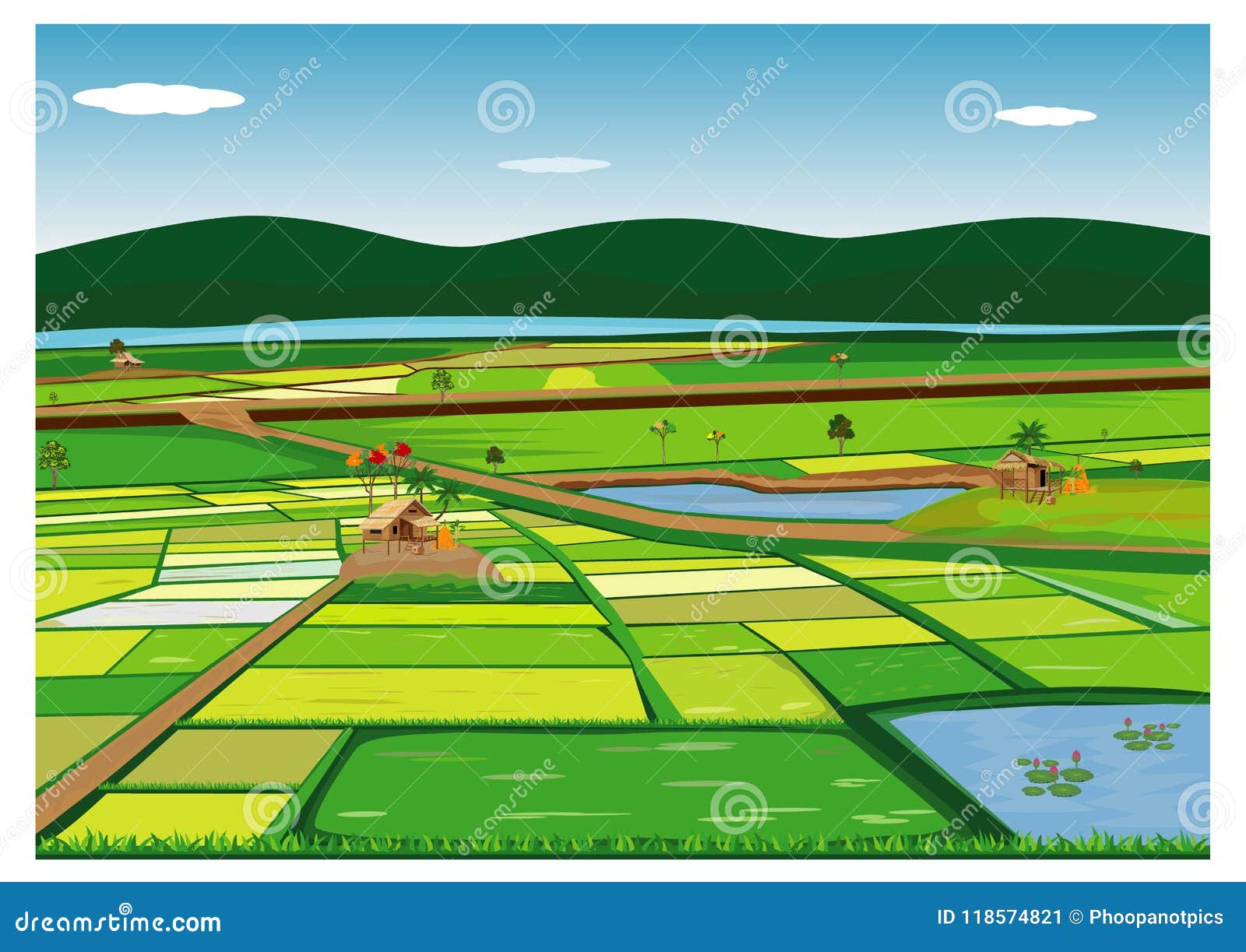 Large paddy field stock vector. Illustration of river - 118574821