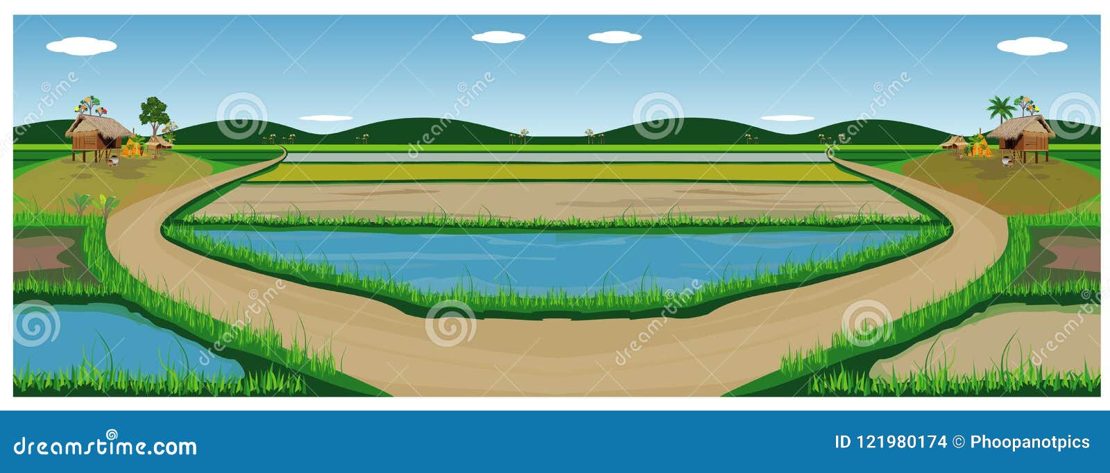 Large paddy field stock vector. Illustration of growth - 121980174