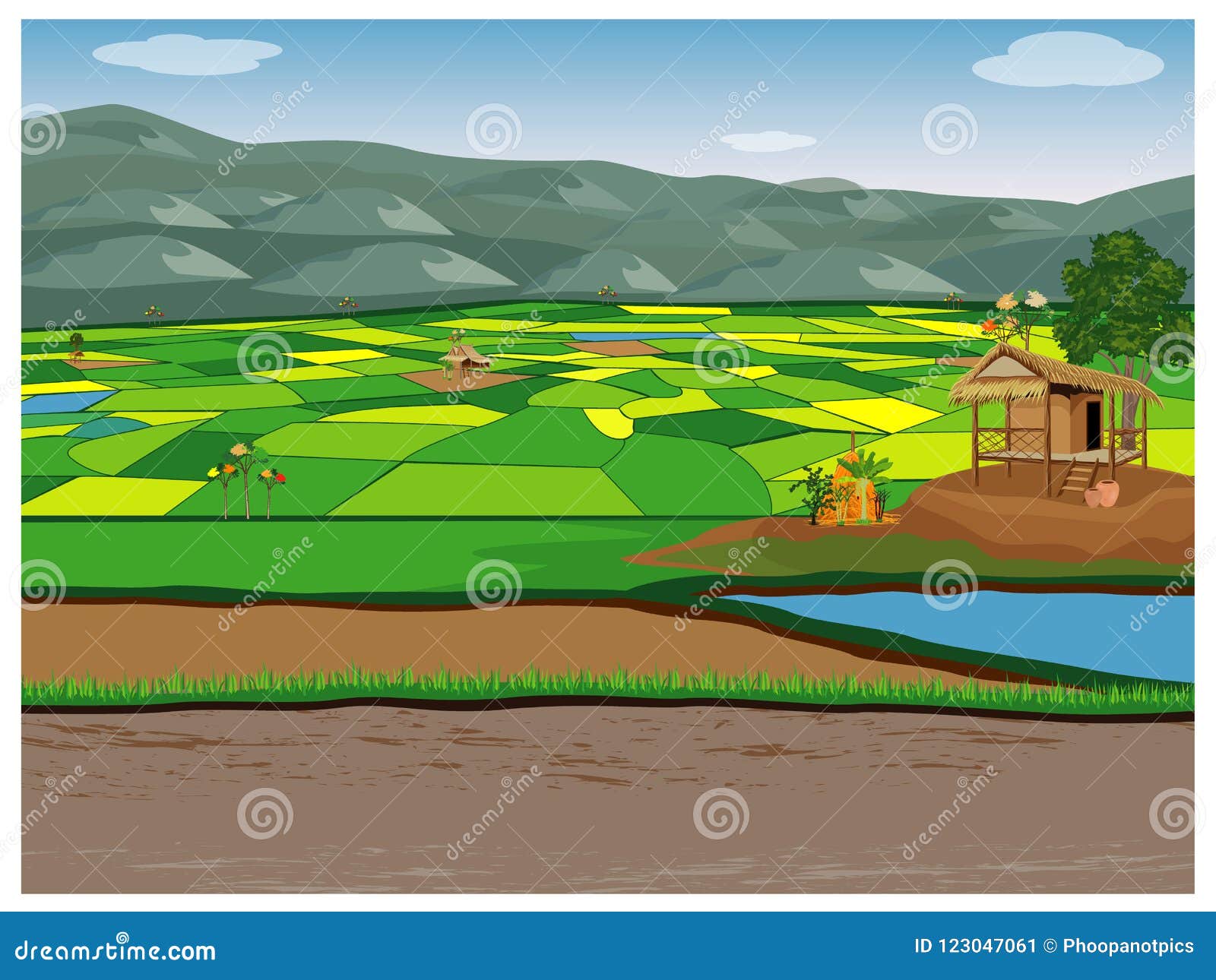 Large paddy field stock vector. Illustration of nature - 123047061