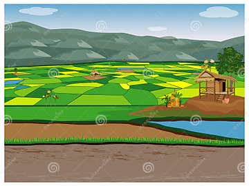 Large paddy field stock vector. Illustration of nature - 123047061