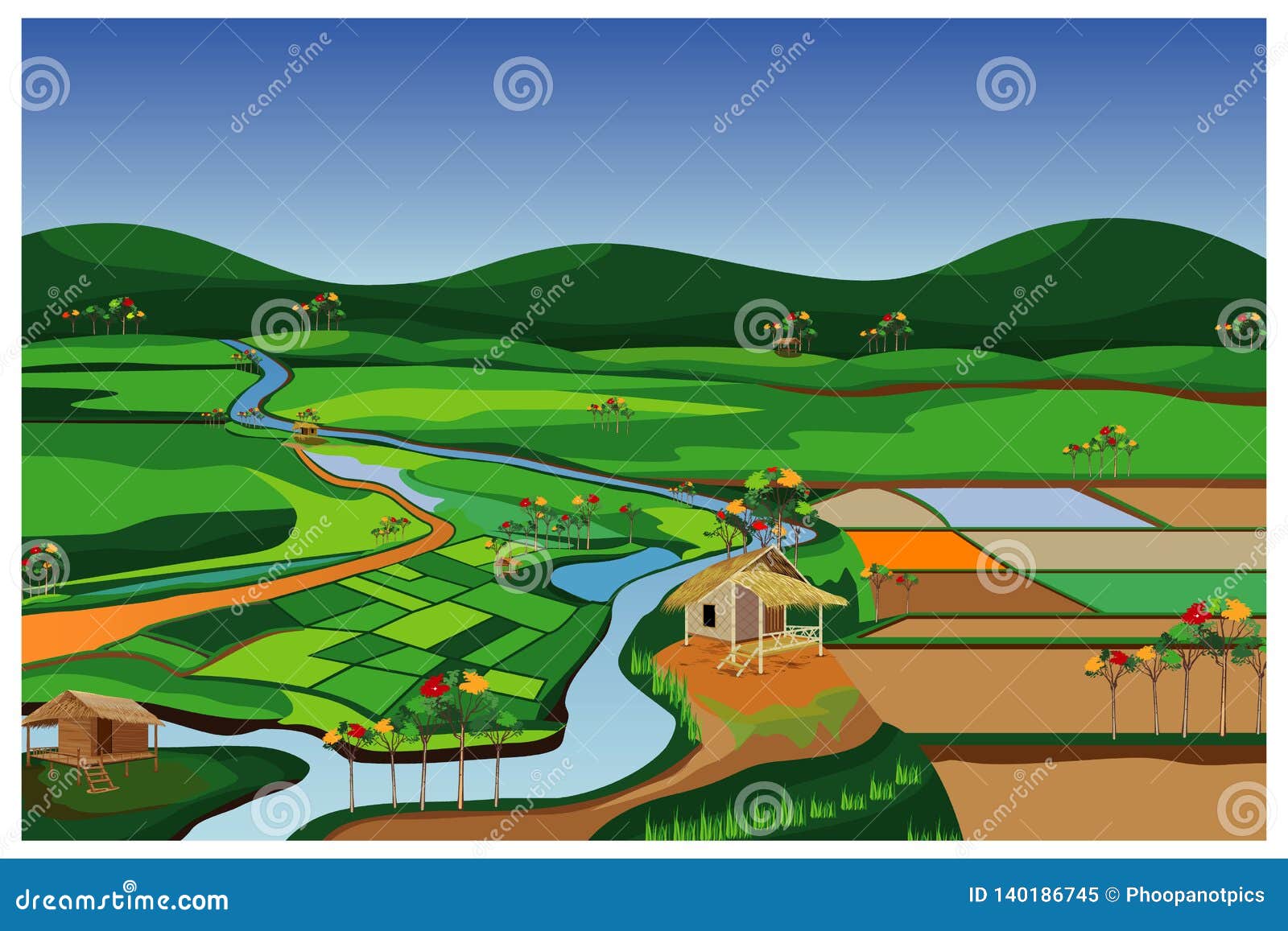 The large paddy field stock vector. Illustration of landscape - 140186745