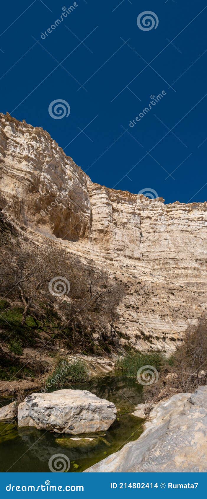 Large Panoramic View of Ein Avdat - a Canyon in the Negev Desert Stock ...
