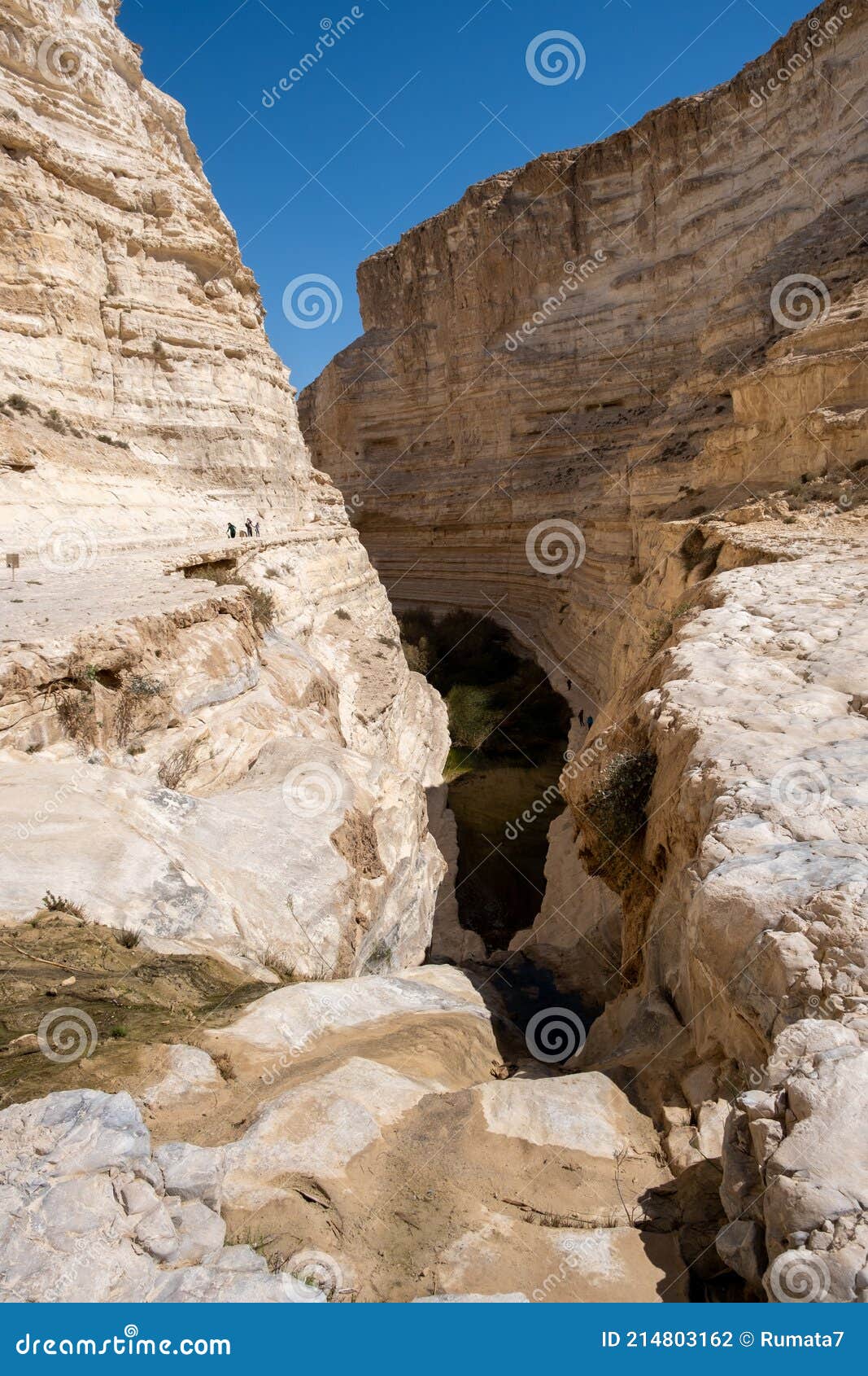 Large Panoramic View of Ein Avdat - a Canyon in the Negev Desert Stock ...