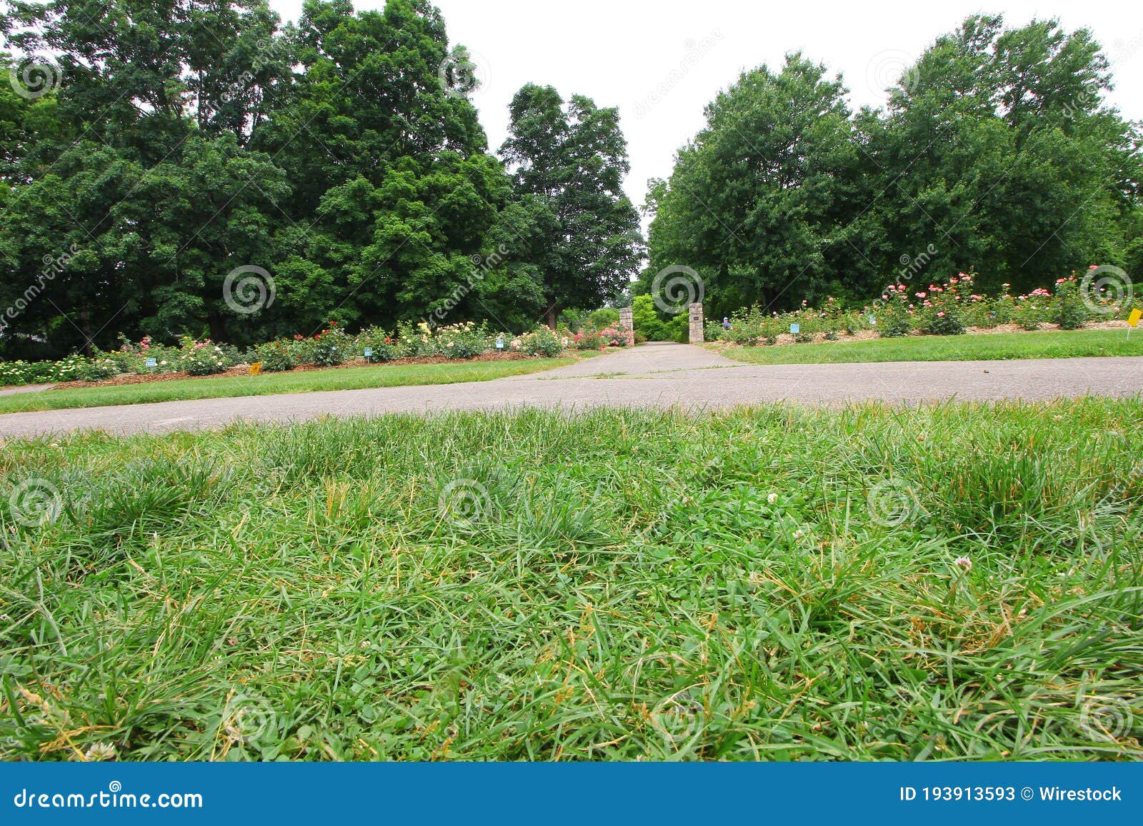 Large Park with Colorful Flowers and Trees Stock Image - Image of ...