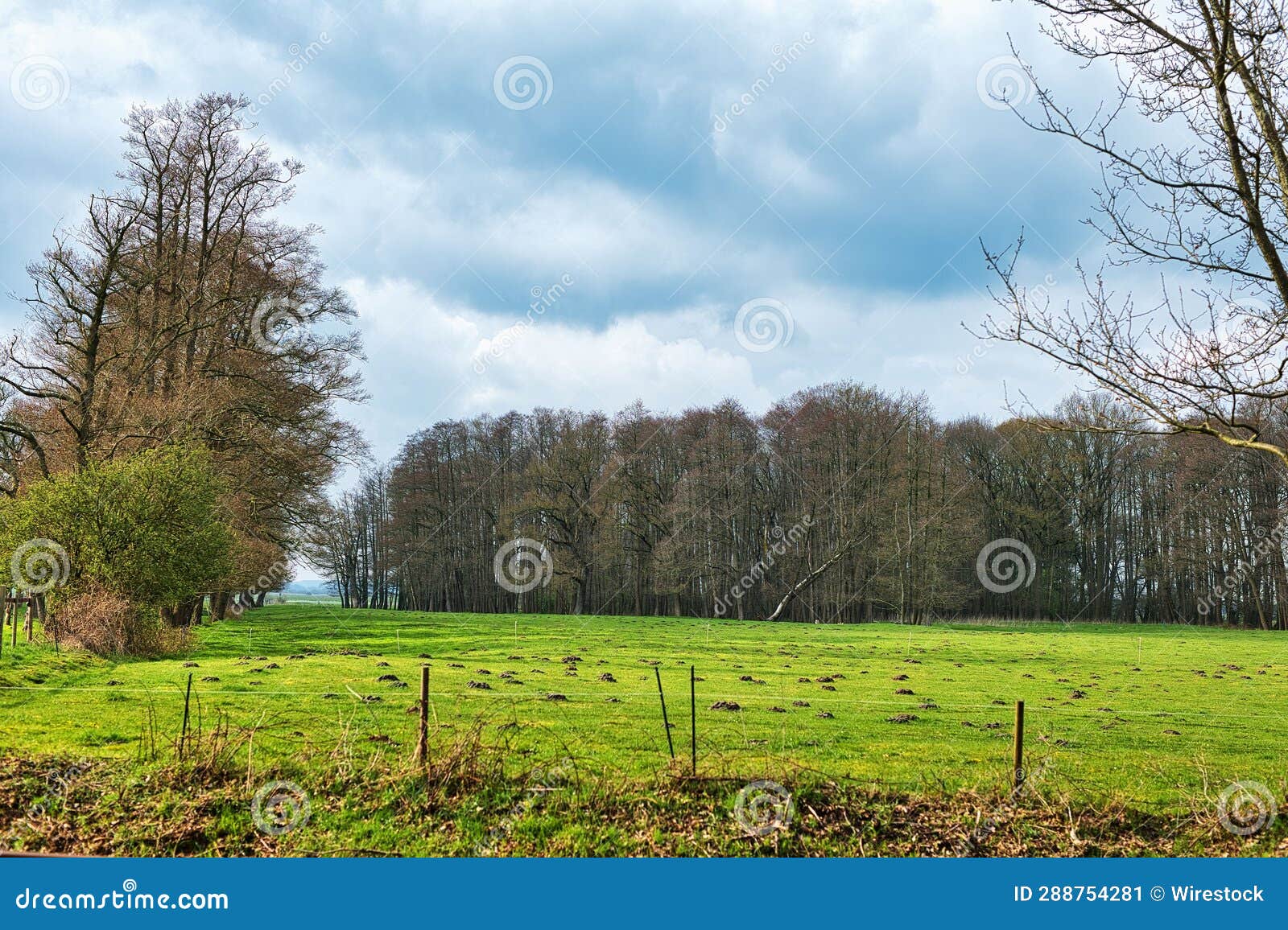 Large Pasture with Several Trees on a Stormy Day in the Background ...