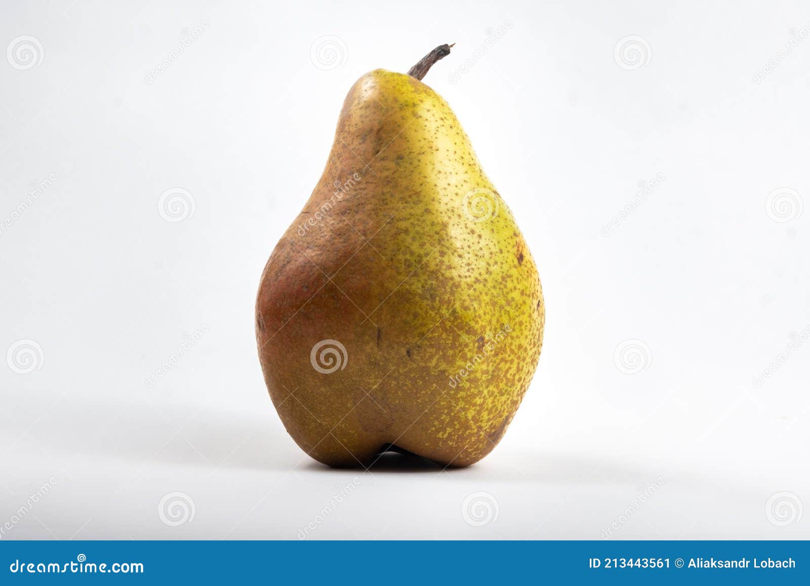 Large Pear Tree on White Isolated Background Stock Image - Image of ...