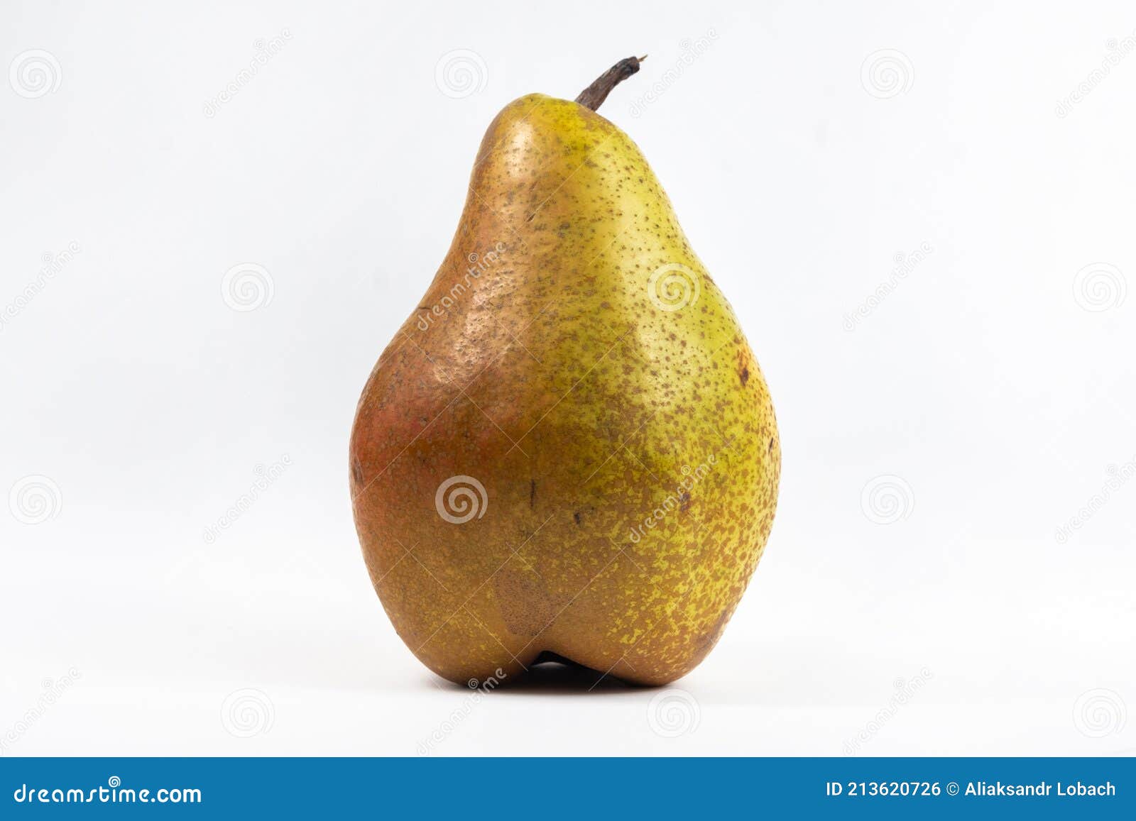 Large Pear Tree on White Isolated Background Stock Photo - Image of ...