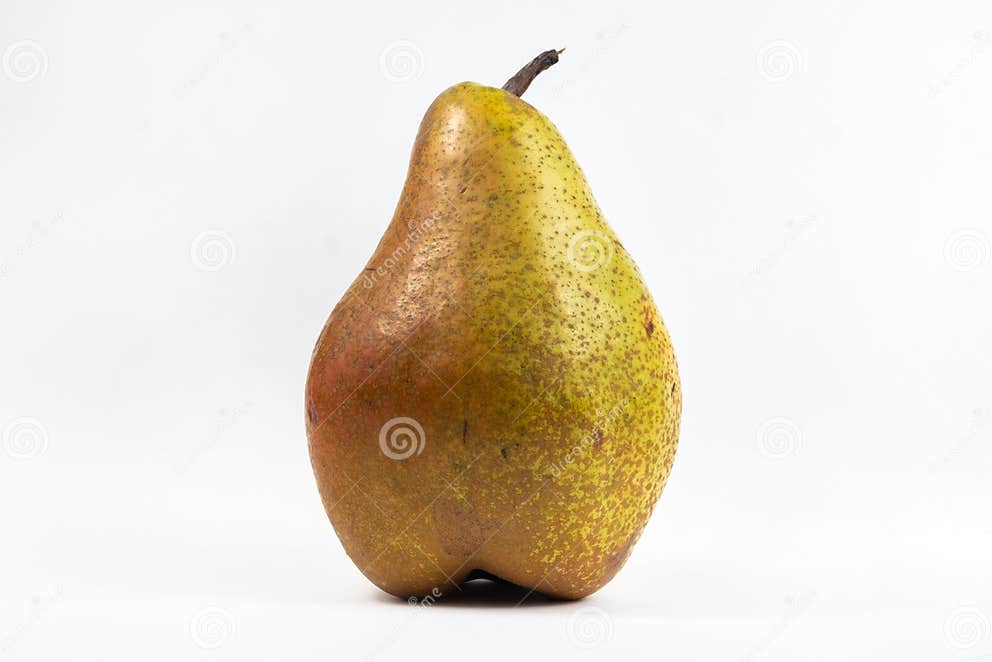 Large Pear Tree on White Isolated Background Stock Photo - Image of ...