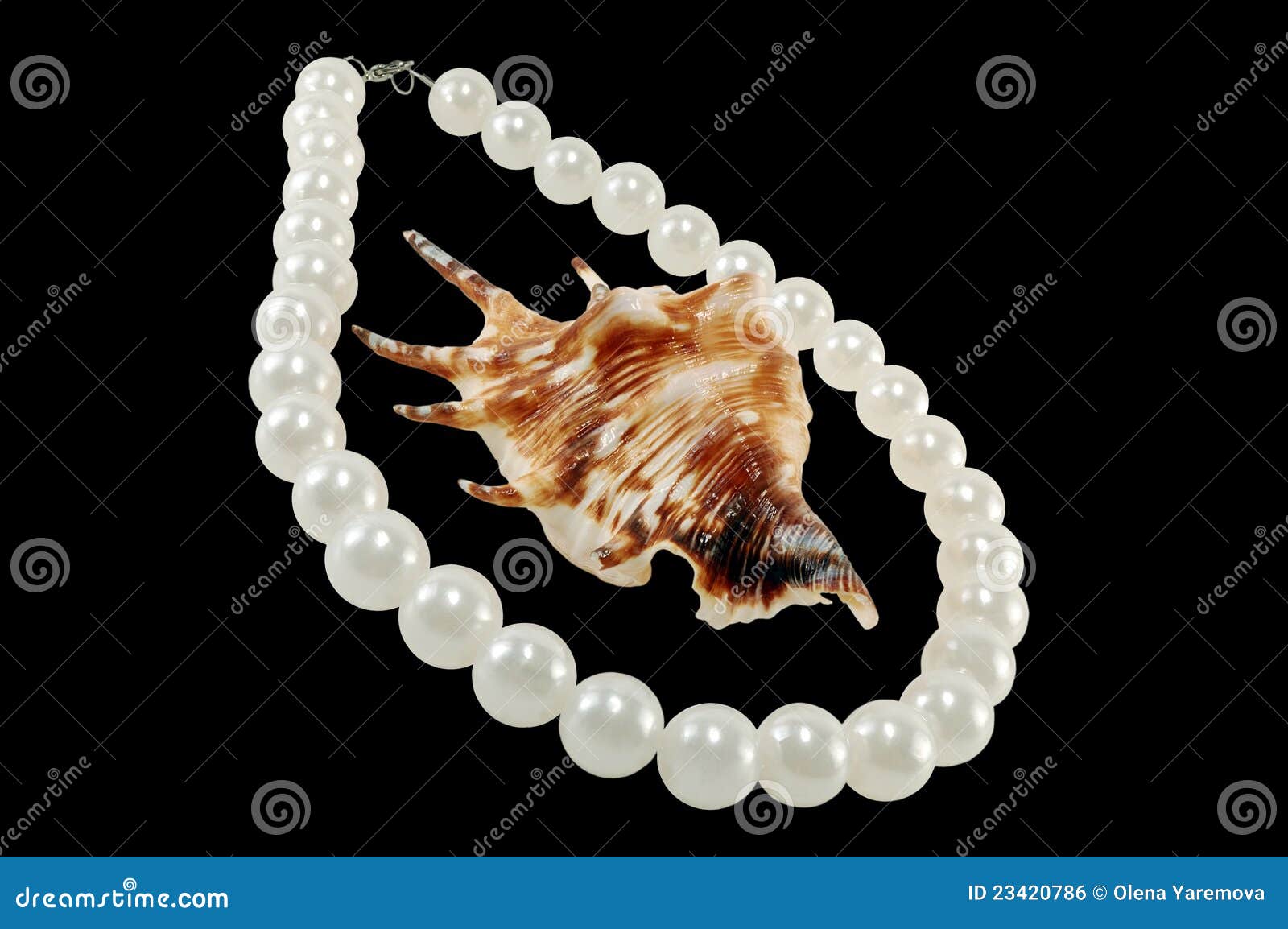 Large Pearls with a Seashell Stock Photo - Image of necklace, jewelry ...