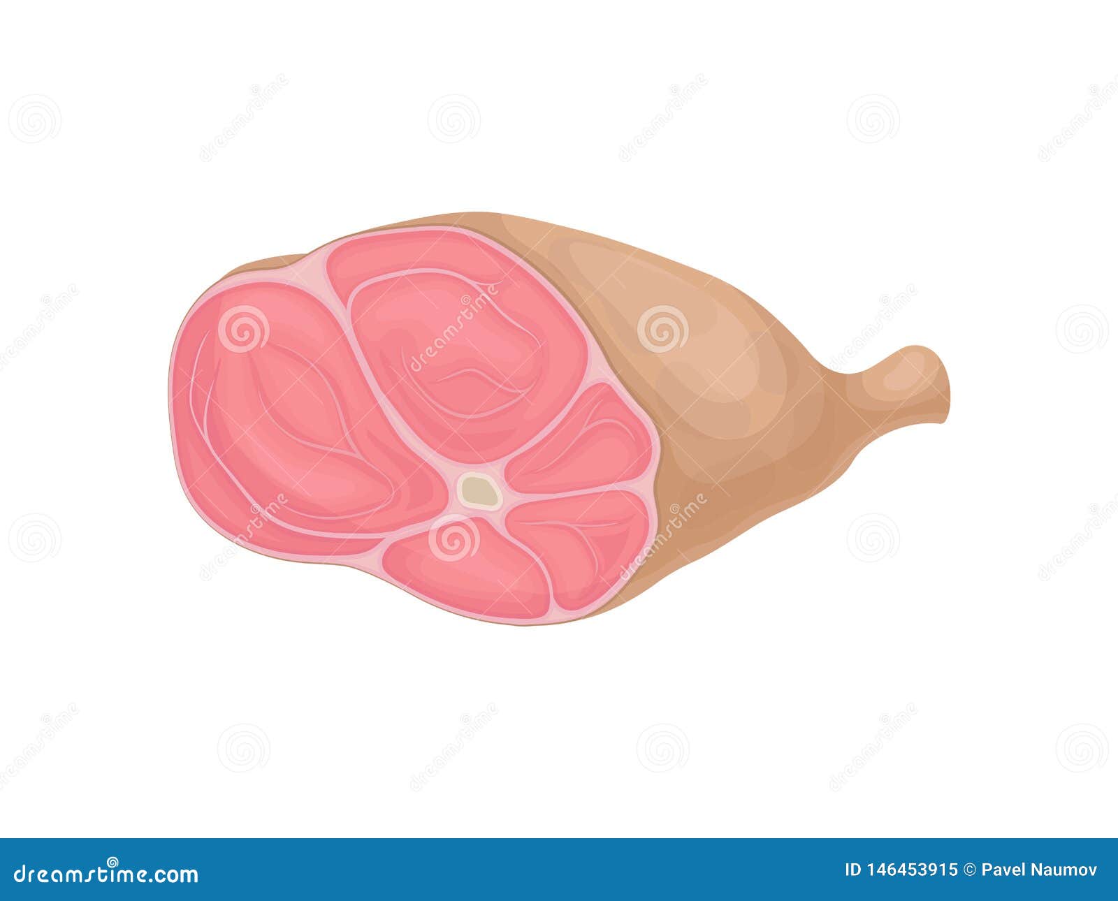 Raw Meat on the Bone. Vector Illustration on White Background. Stock ...