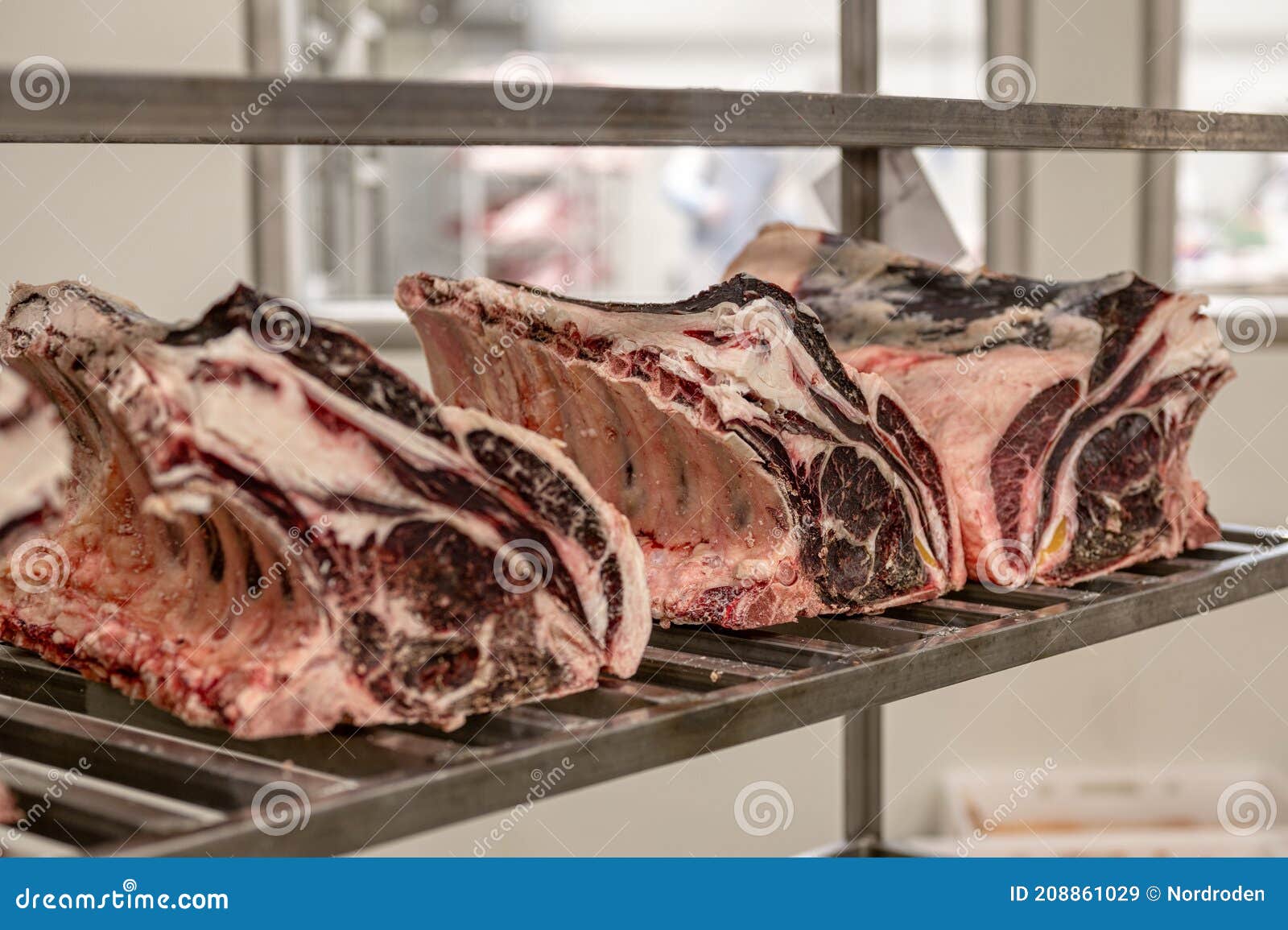 Large Pieces of Beef Ribs. the Process of Fermentation of Meat in the ...