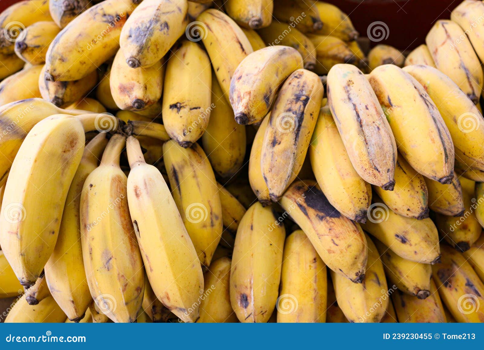 A large pile of bananas stock image. Image of yellow - 239230455