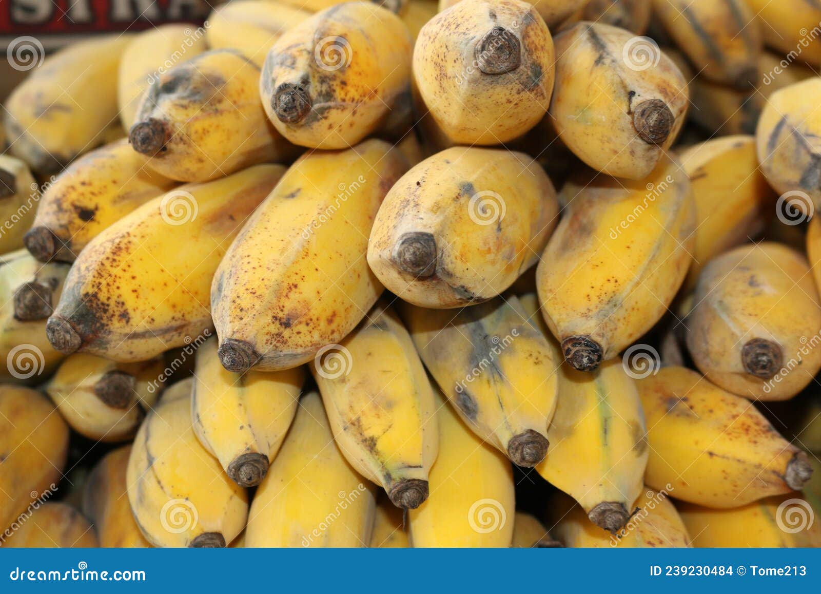 A large pile of bananas stock photo. Image of musa, fruit - 239230484