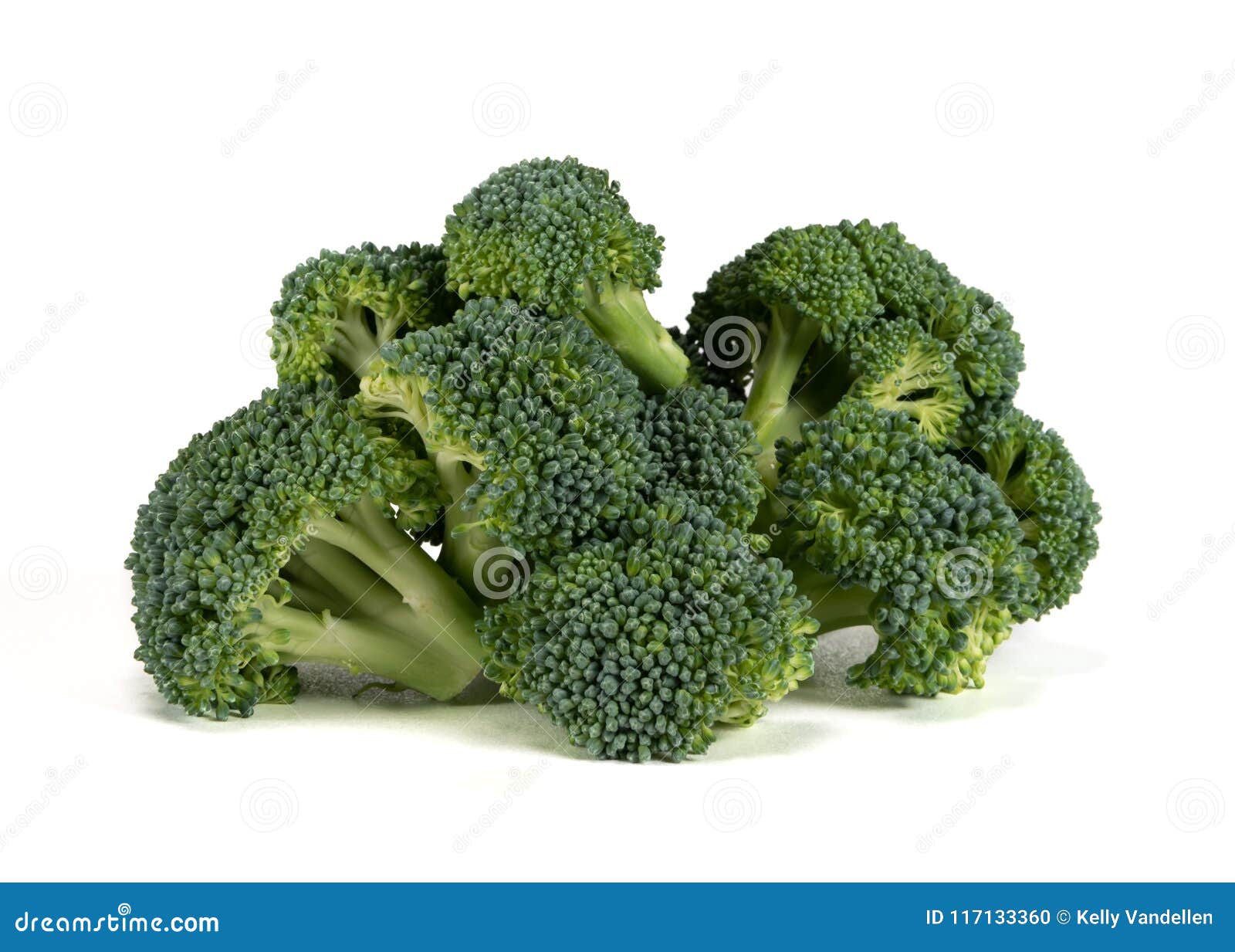 Large Pile of Broccoli stock photo. Image of white, green - 117133360