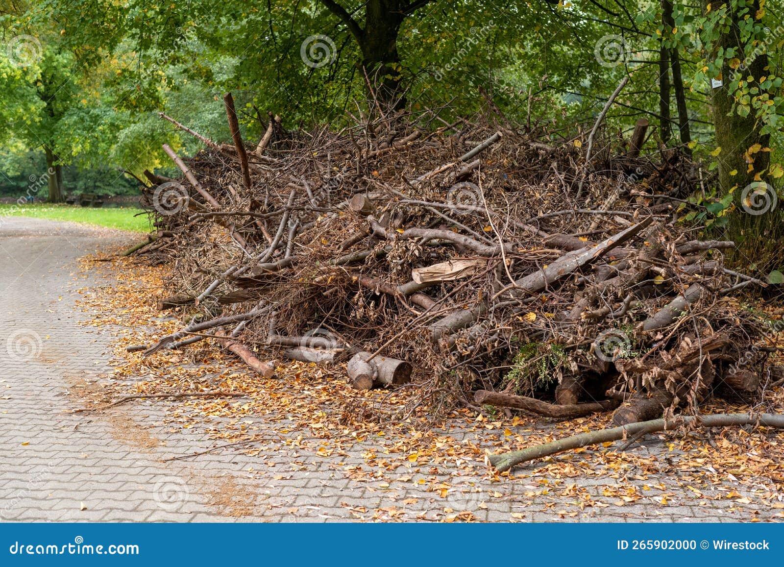 Large Pile of Brown Twigs and Logs on the Side of a Trail in a Park ...