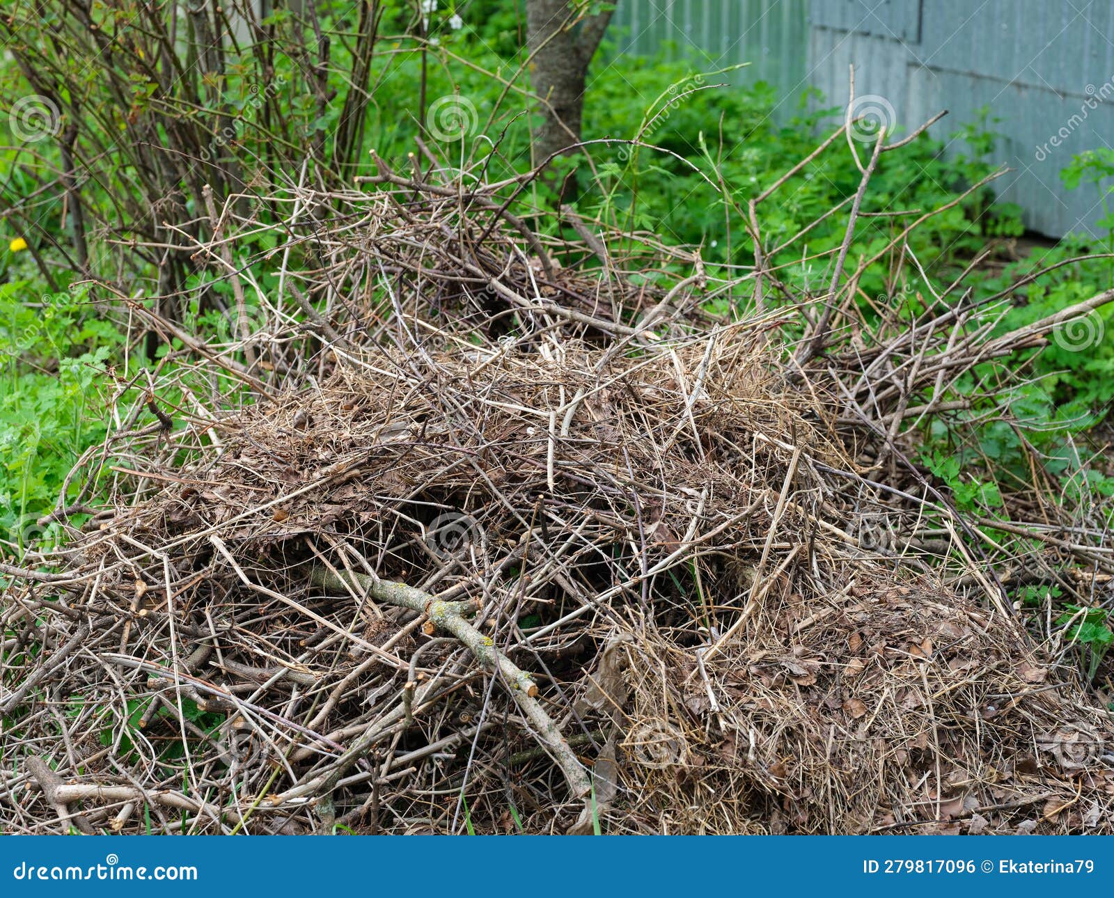 Large Pile of Dry Twigs and Branches Outdoors Stock Photo - Image of ...