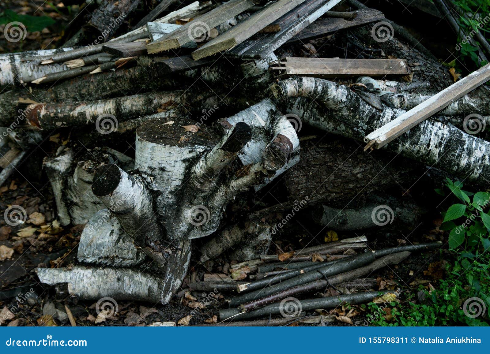 A Large Pile of Fallen Tree Branches, Stumps and Boards Stock Image ...