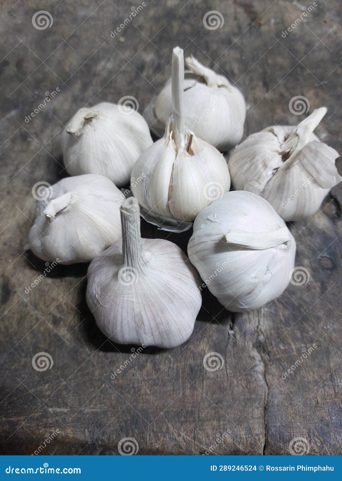 Large Pile of Garlic Seeds with Shells Stock Photo - Image of pile ...