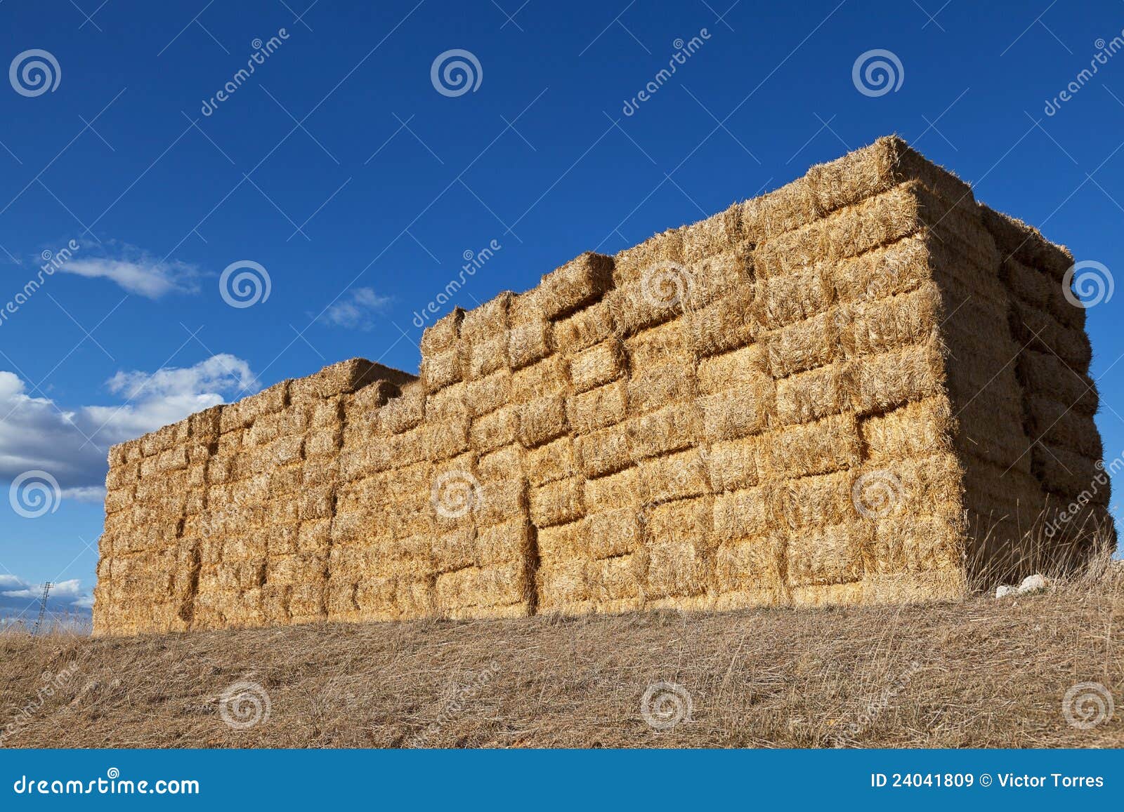 Large pile of hay bales stock image. Image of stacked - 24041809 Large pile of hay bales stock image. Image of stacked - 24041809