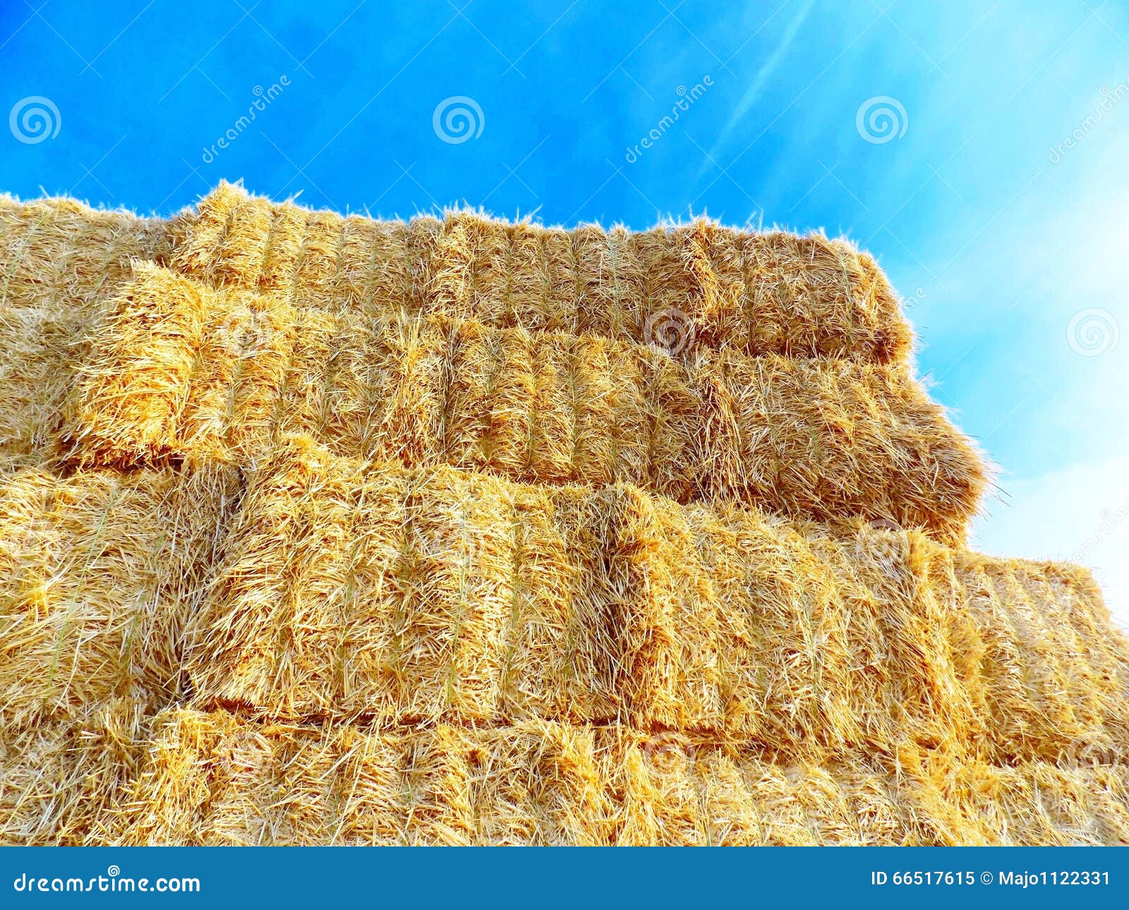 Large pile of hay bales stock image. Image of vegetation - 66517615