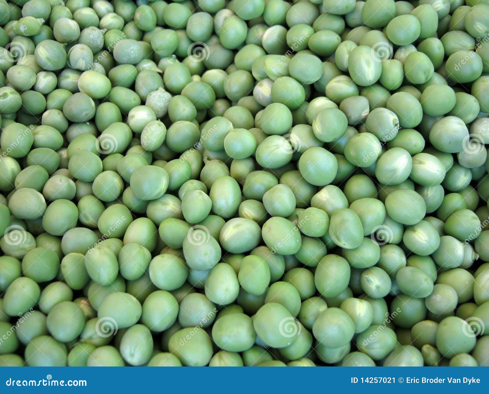 Large Pile of Shelled English Peas Stock Image - Image of vegetables ...