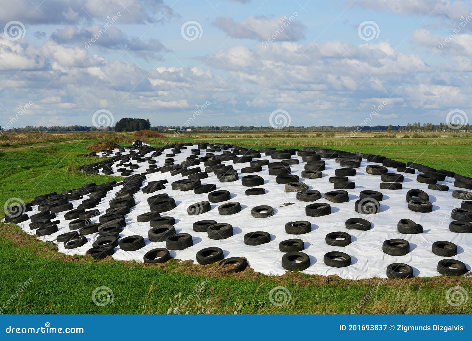 Large Pile of Silage on Field Covered with Plastic Film and Used Tires ...