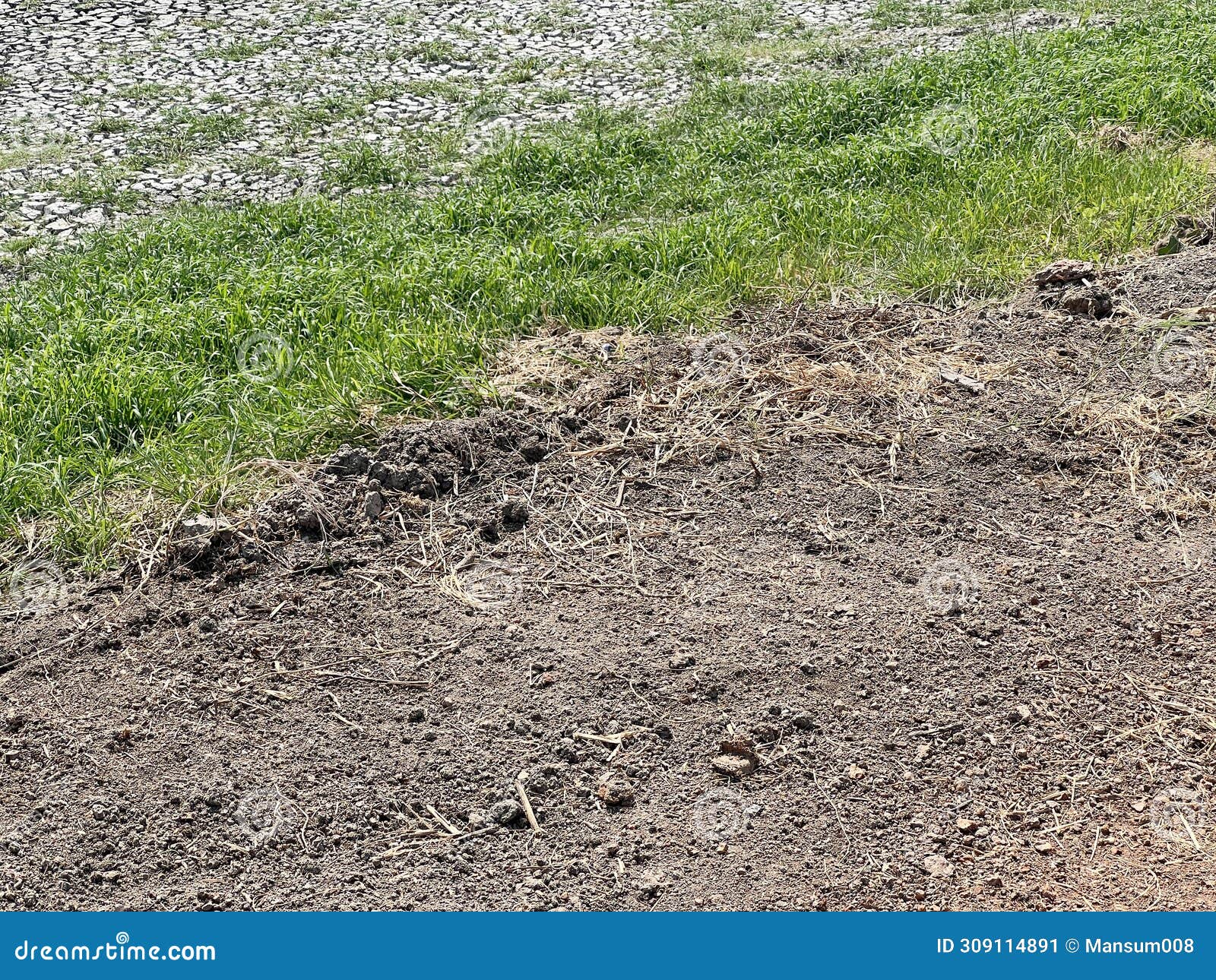 A Large Pile of Soil and Grass Stock Image - Image of outdoor, natural ...