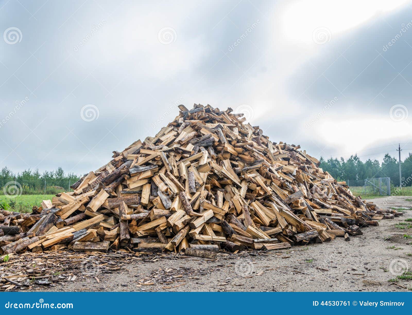 Firewood Pile