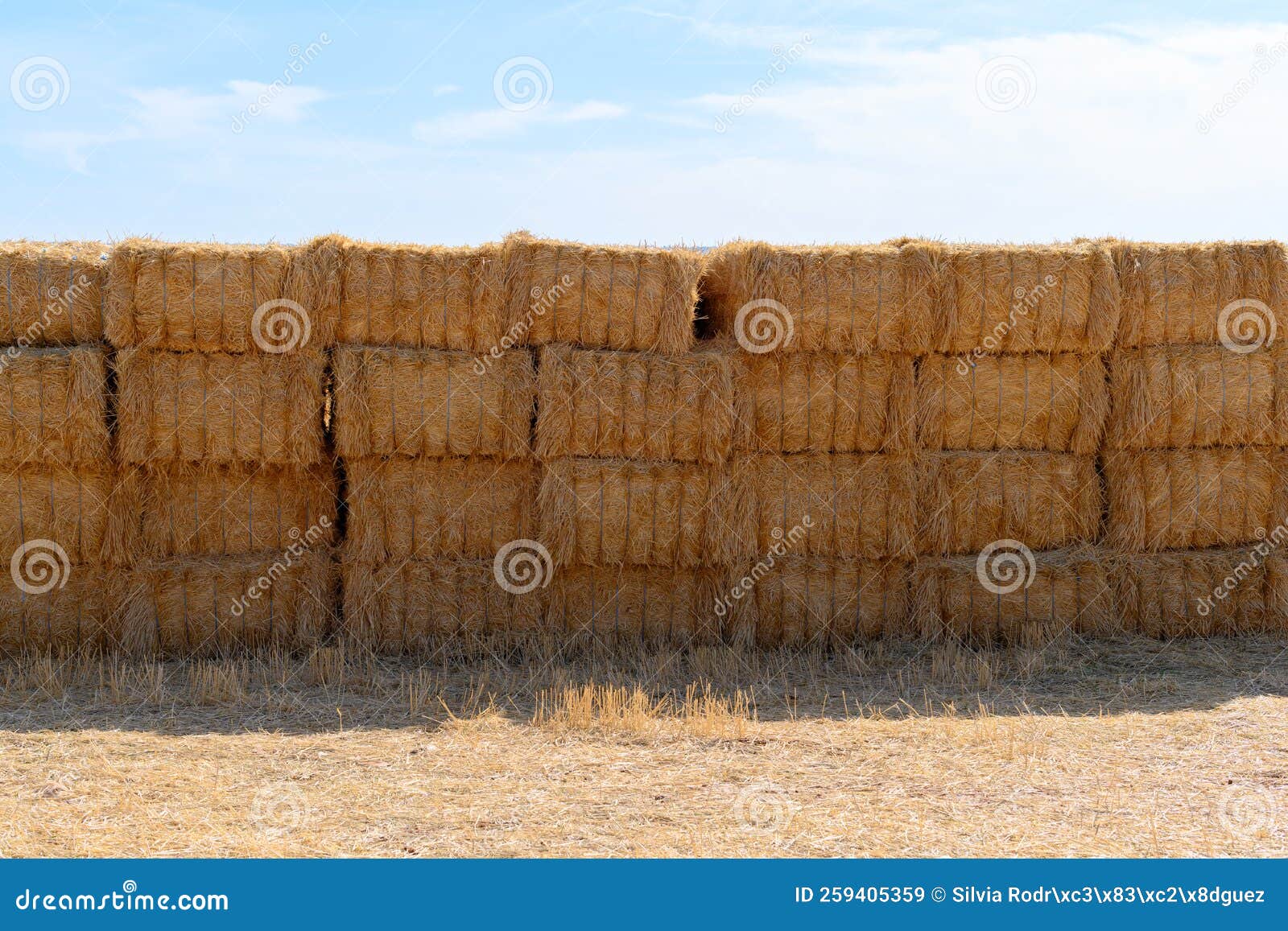 Large Pile of Straw Squares Stock Image - Image of pile, outdoors ...