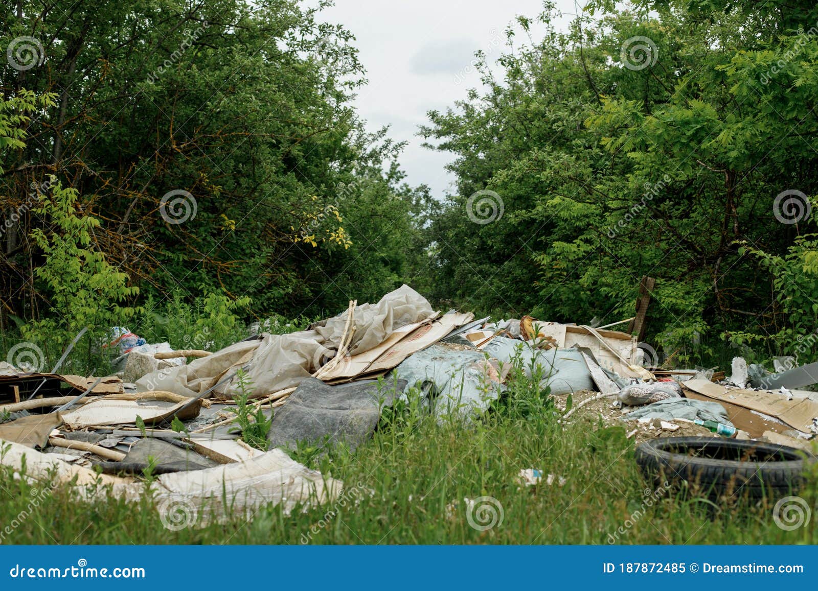 A Large Pile of Various Debris Lies on Th Green Trees. Stock Image ...