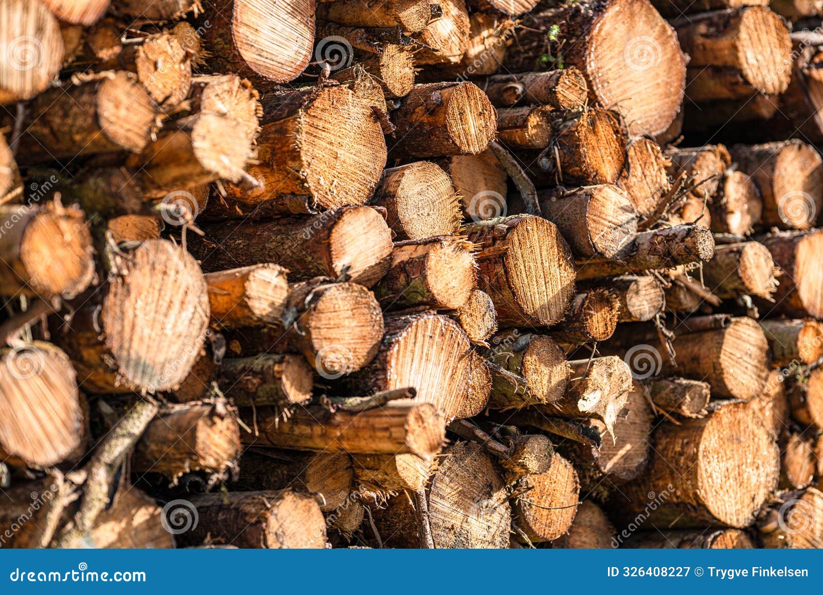 Large pile of wood logs.. stock image. Image of wood - 326408227