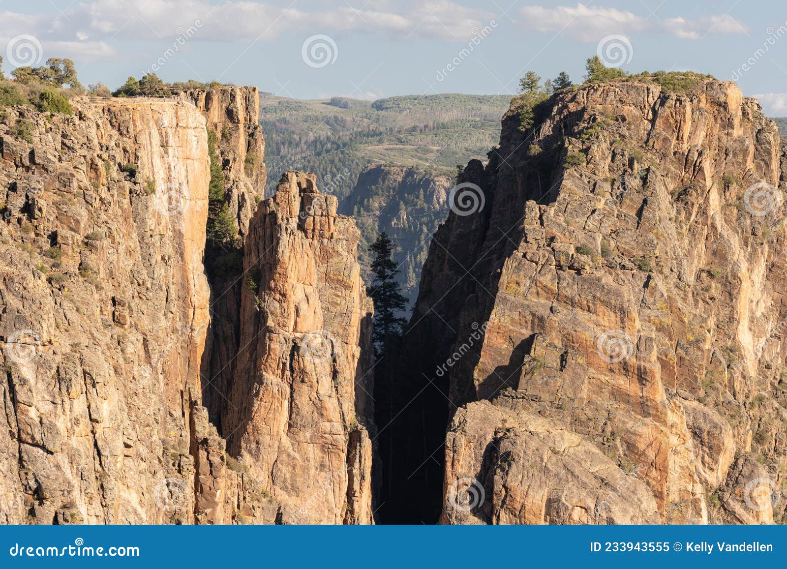 Large Pine Tree Grows in the Wedge between Two Rock Cliffs Stock Image ...