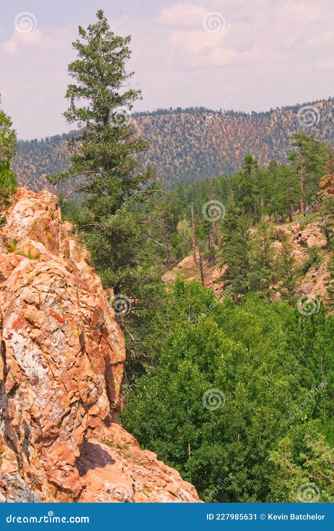 Pine Tree Ledge stock image. Image of clouds, destination - 227985631