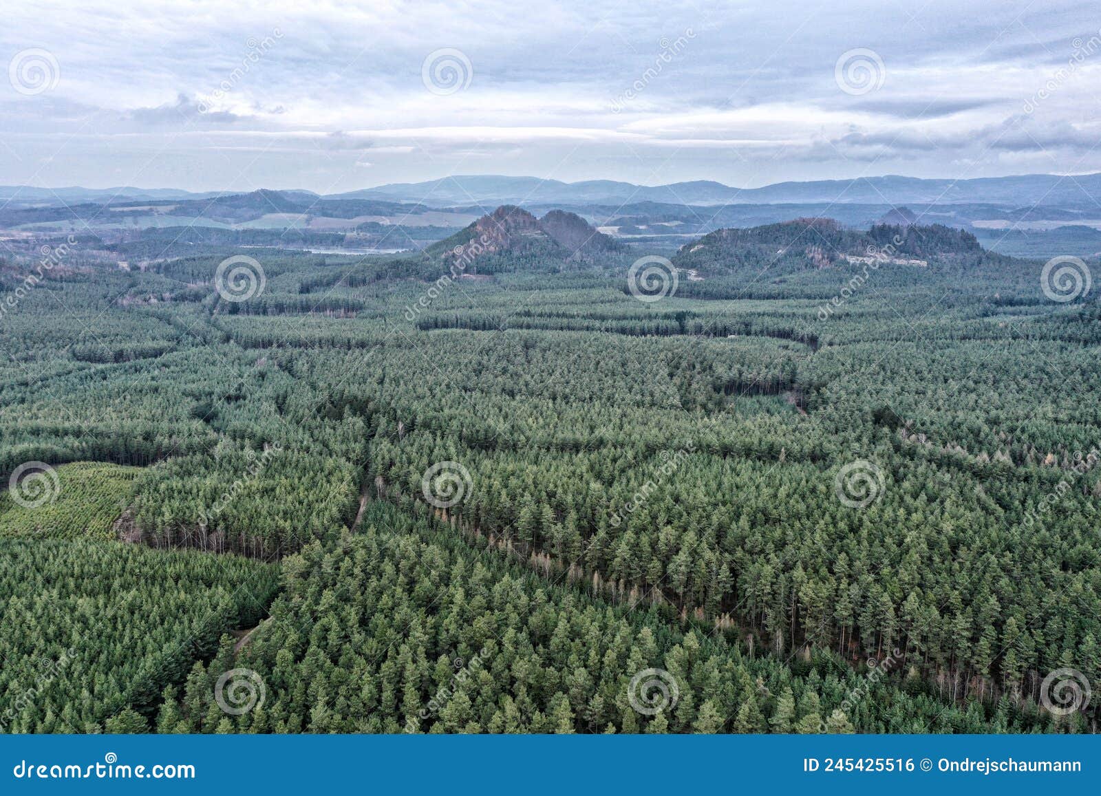 Large Plain with Woods and Forests with Mountains in Background Stock ...