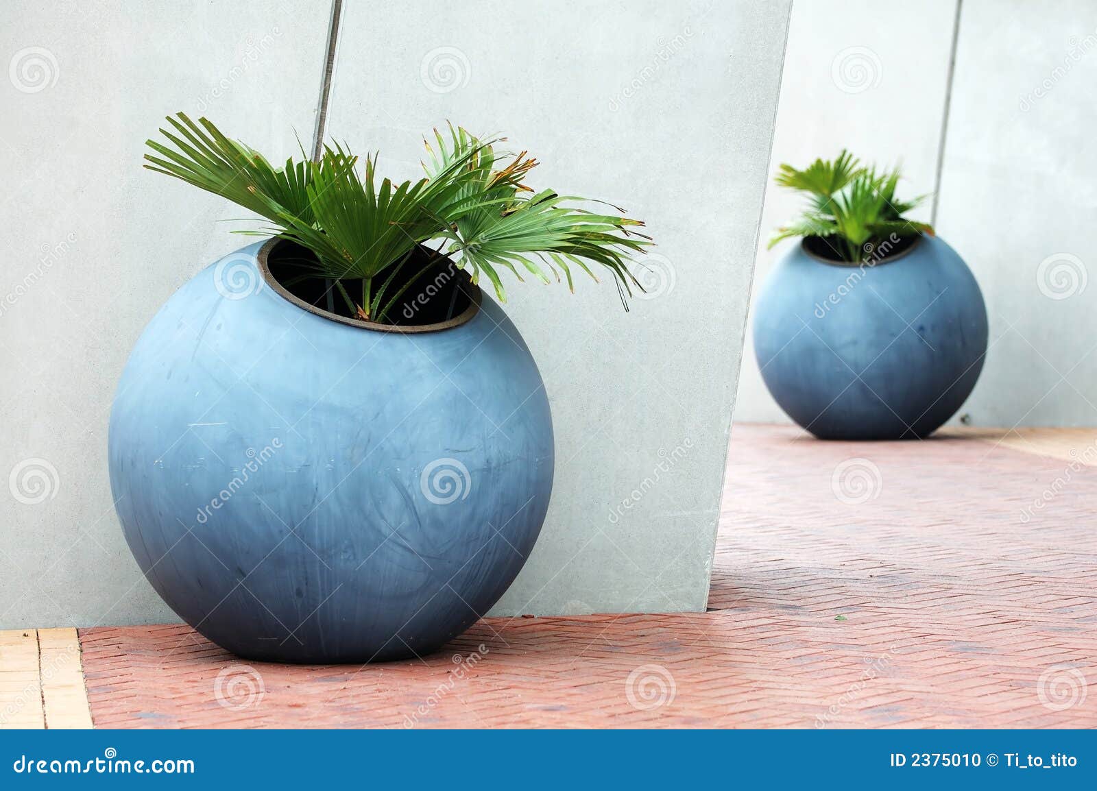 Large plant pots stock photo. Image of shrub, circle, modern - 2375010