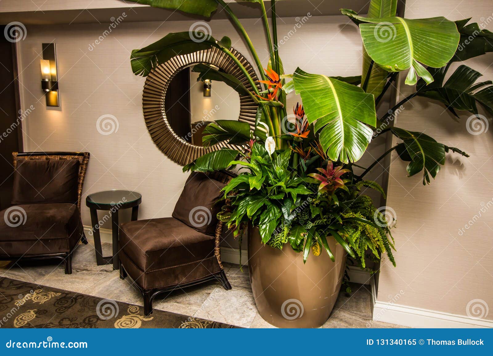 Large Plant with Two Chairs Stock Image - Image of mirror, hallway ...