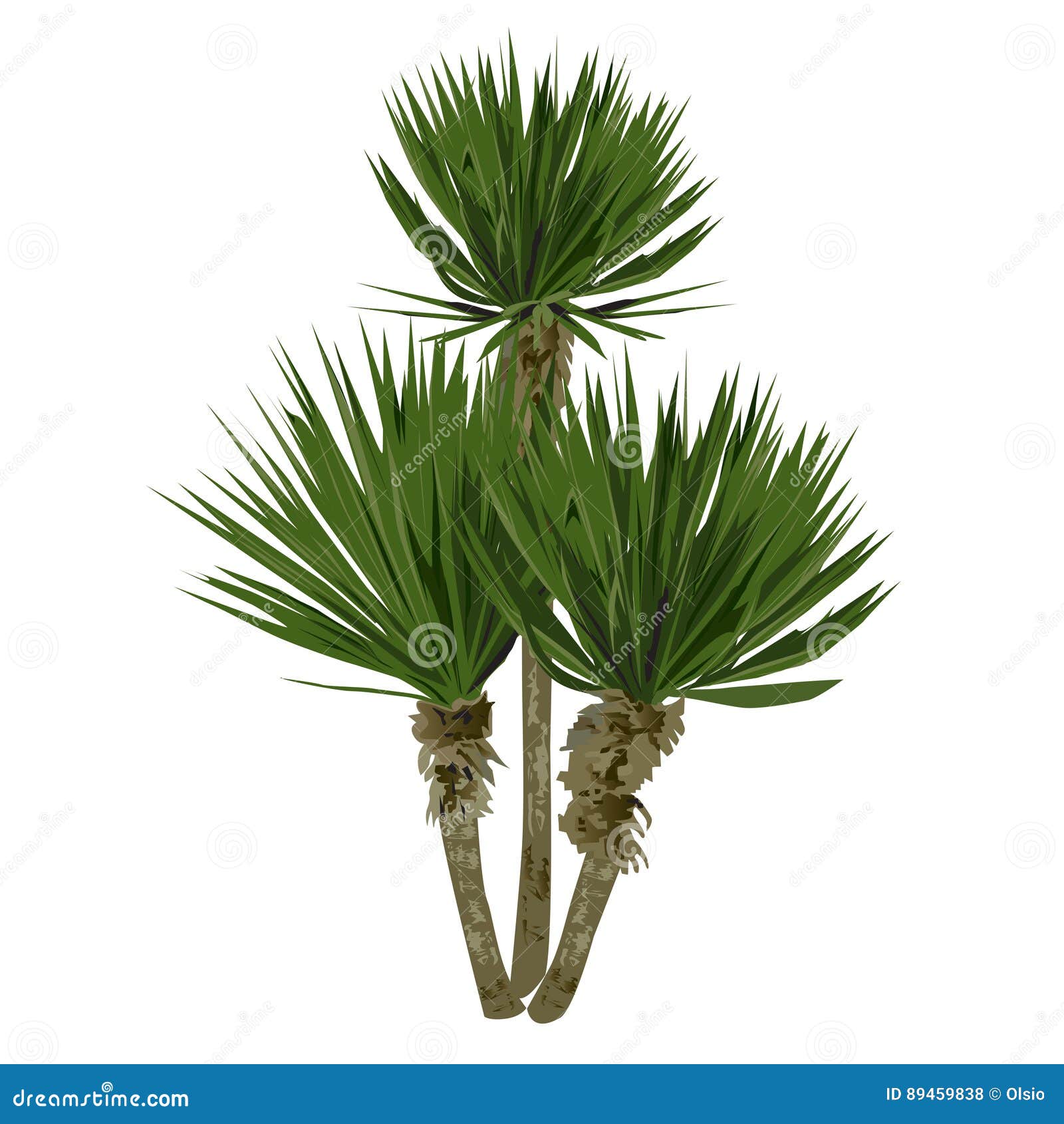 Yucca Stock Illustrations – 265 Yucca Stock Illustrations, Vectors ...