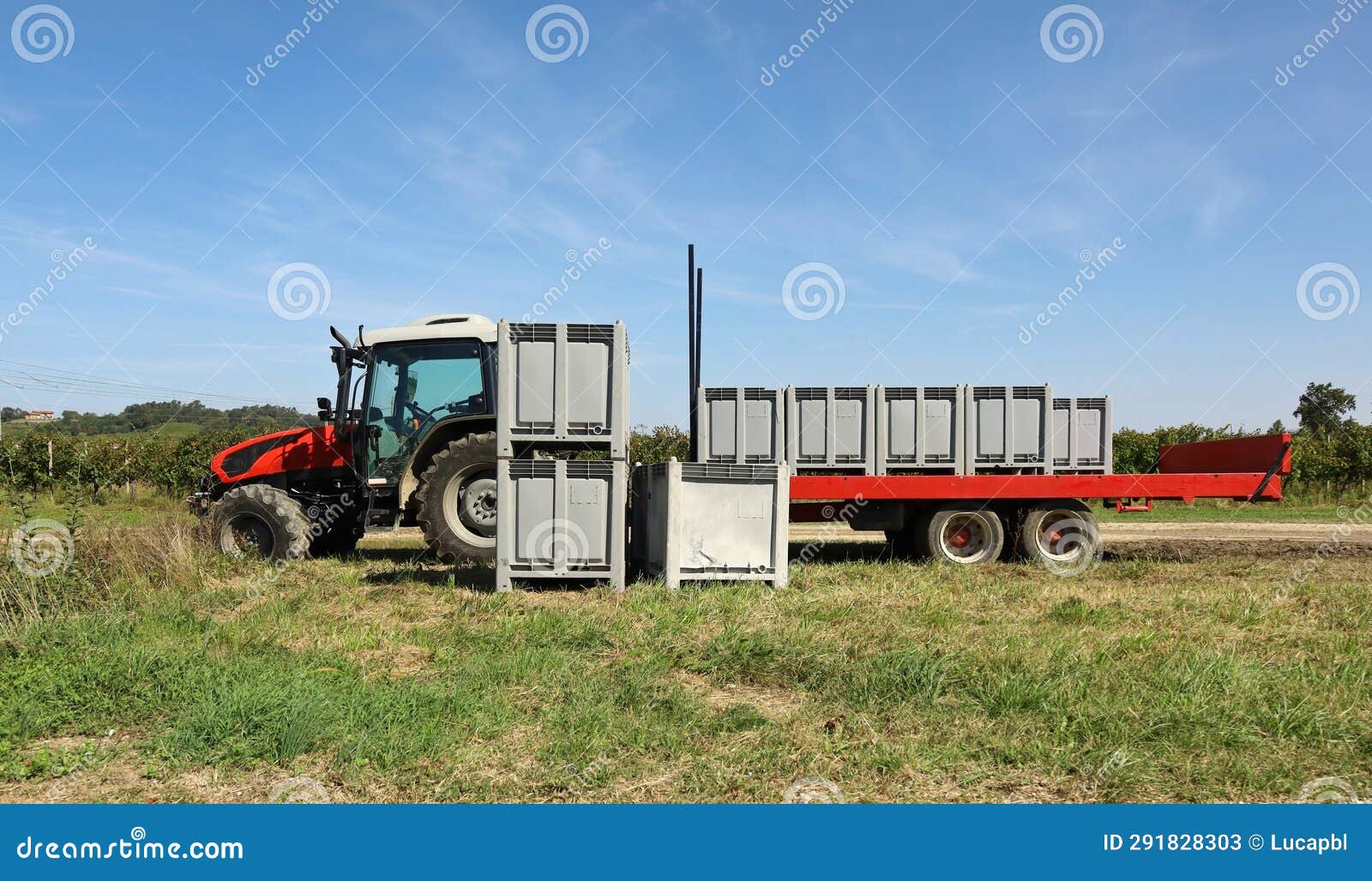 Large Plastic Bulk Bins Used for Storage and Transporting Grapes in ...