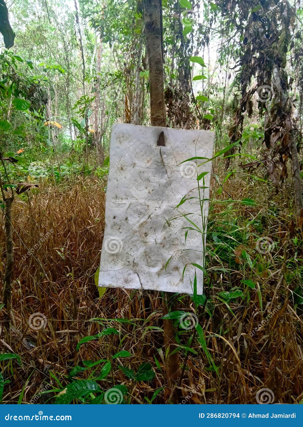 Large Plastic Waste Stuck To the Tree. Stock Photo - Image of landscape ...