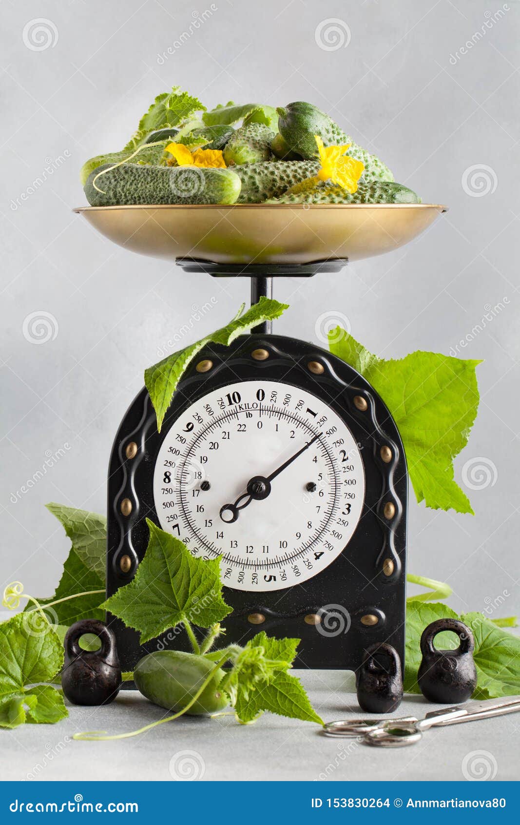 A Large Plate of Cucumbers is on the Kitchen Scale Stock Photo - Image ...