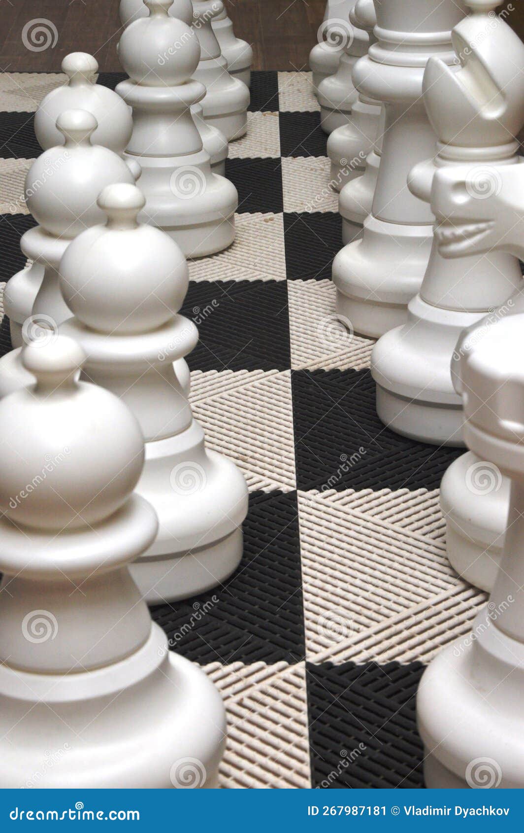 Large chess pieces stock image. Image of young, piece - 267987181