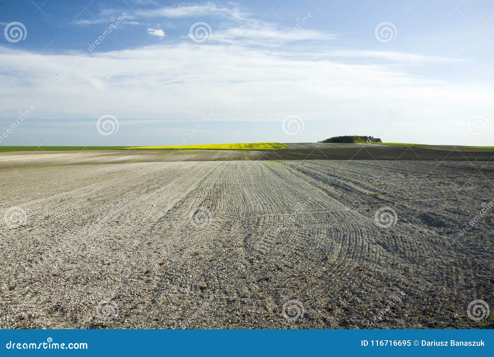 Large Ploughed Field, and Coppice Stock Image - Image of plowed ...