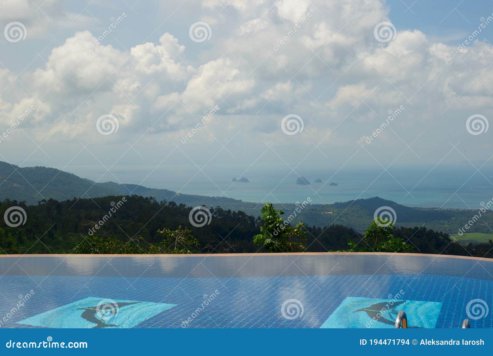 Large Pool Overlooking the Sea among Tropical Greenery Stock Photo ...