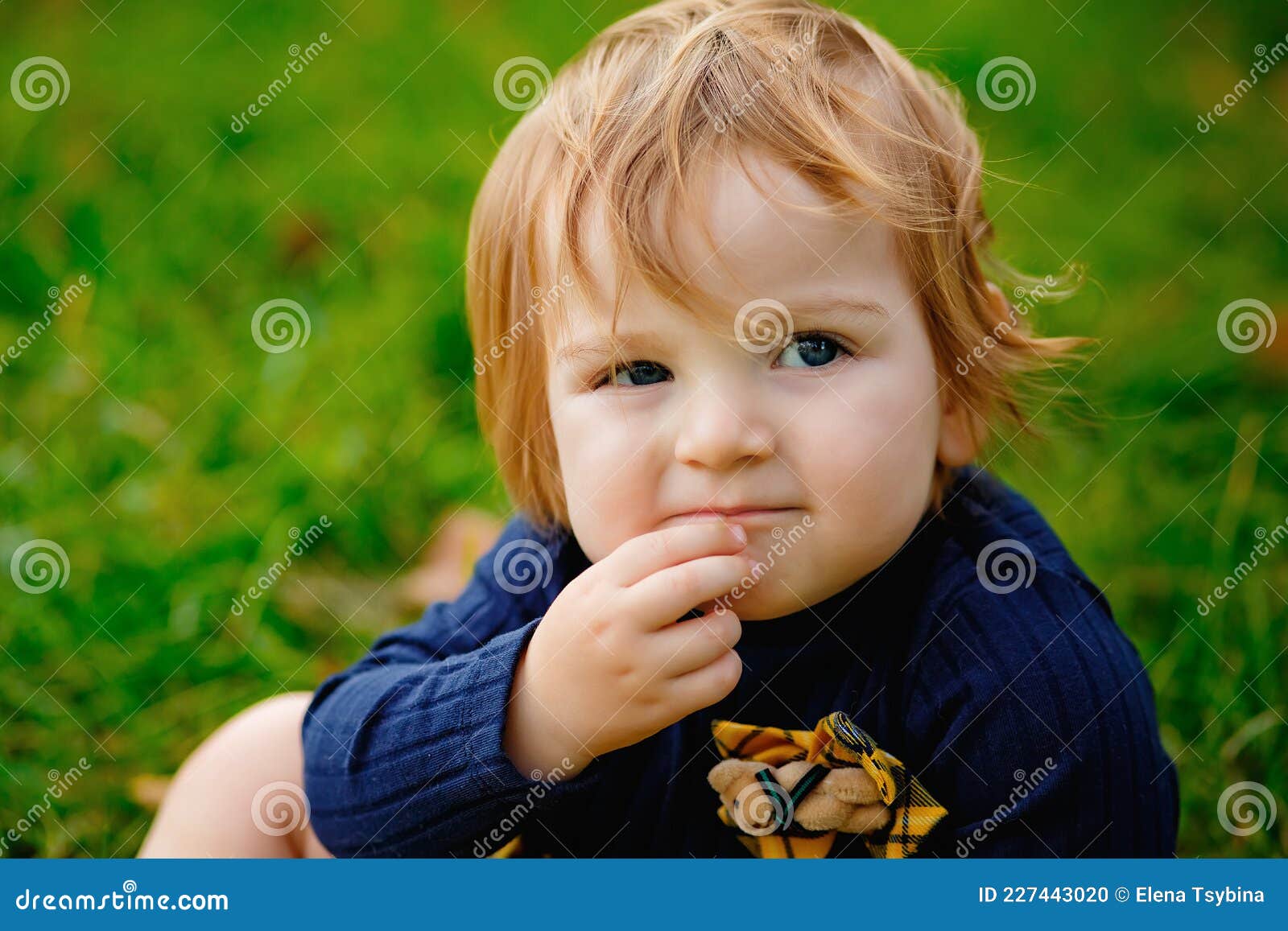 A Large Portrait of a Girl on a Background of Green Grass Stock Photo ...
