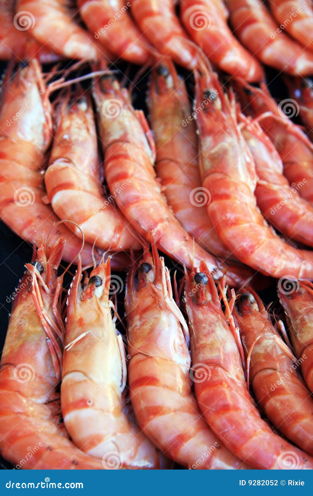 Large prawns stock photo. Image of close, ingredient, marine - 9282052