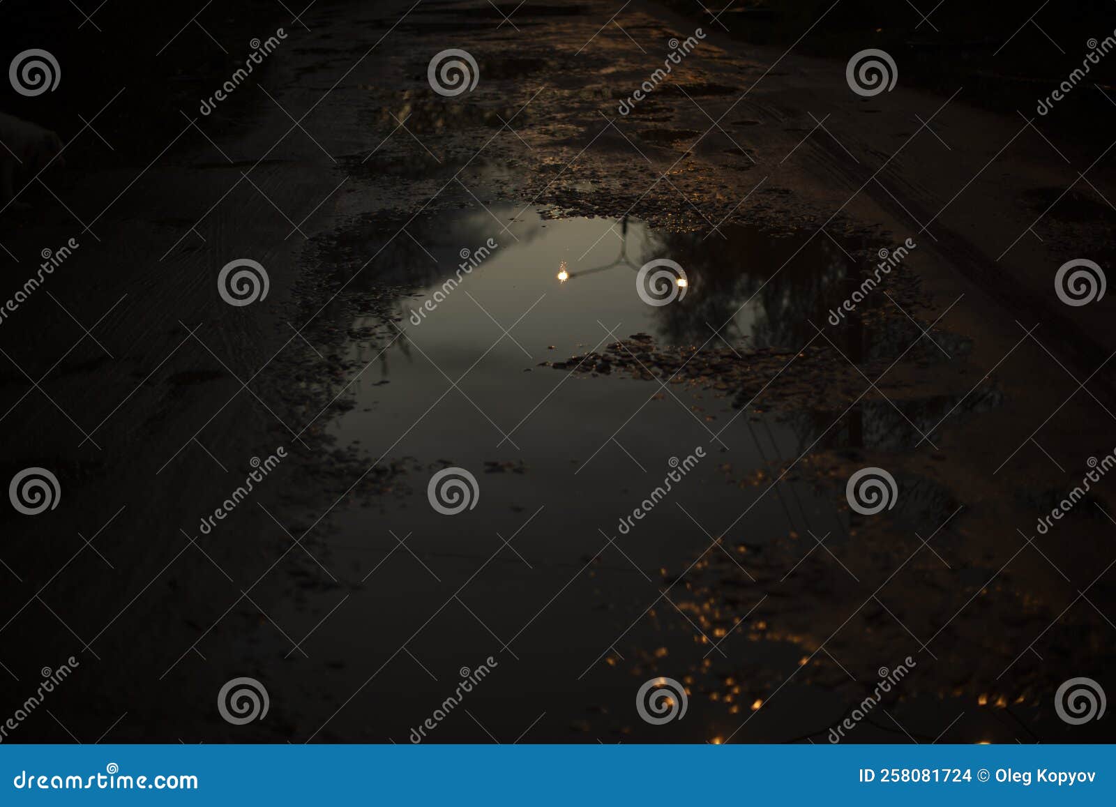 Large Puddle in Dark. Reflection of Light in Puddle Stock Photo - Image ...