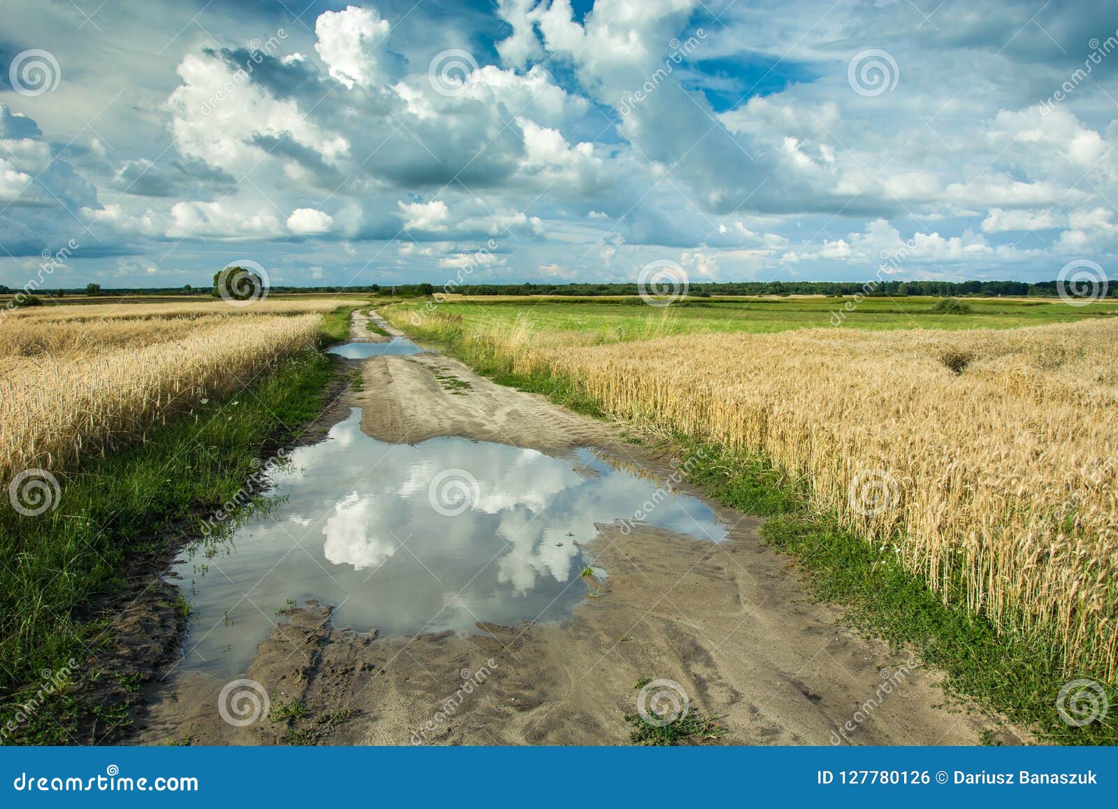 Large Puddle on a Dirt Road Stock Photo - Image of road, landscape ...