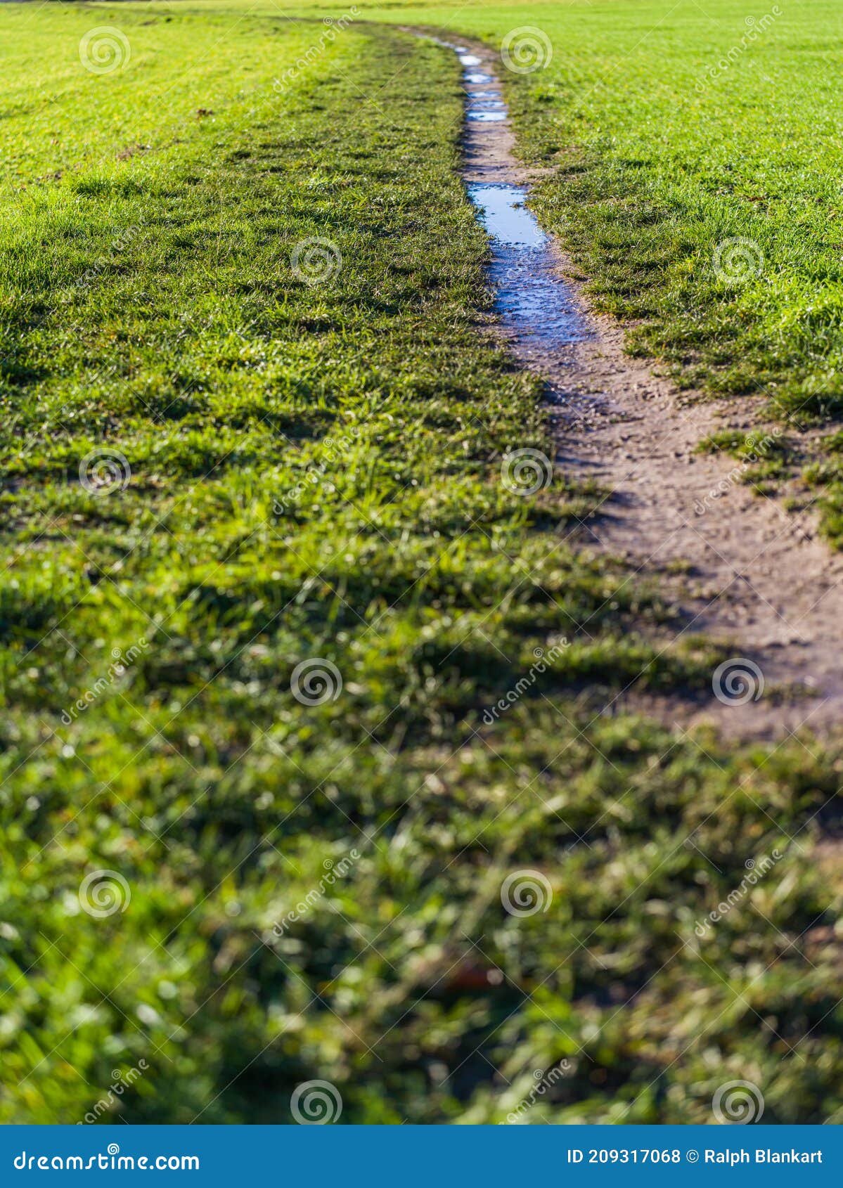 A Large Puddle on the Edge of a Fallow Field. Stock Photo - Image of ...