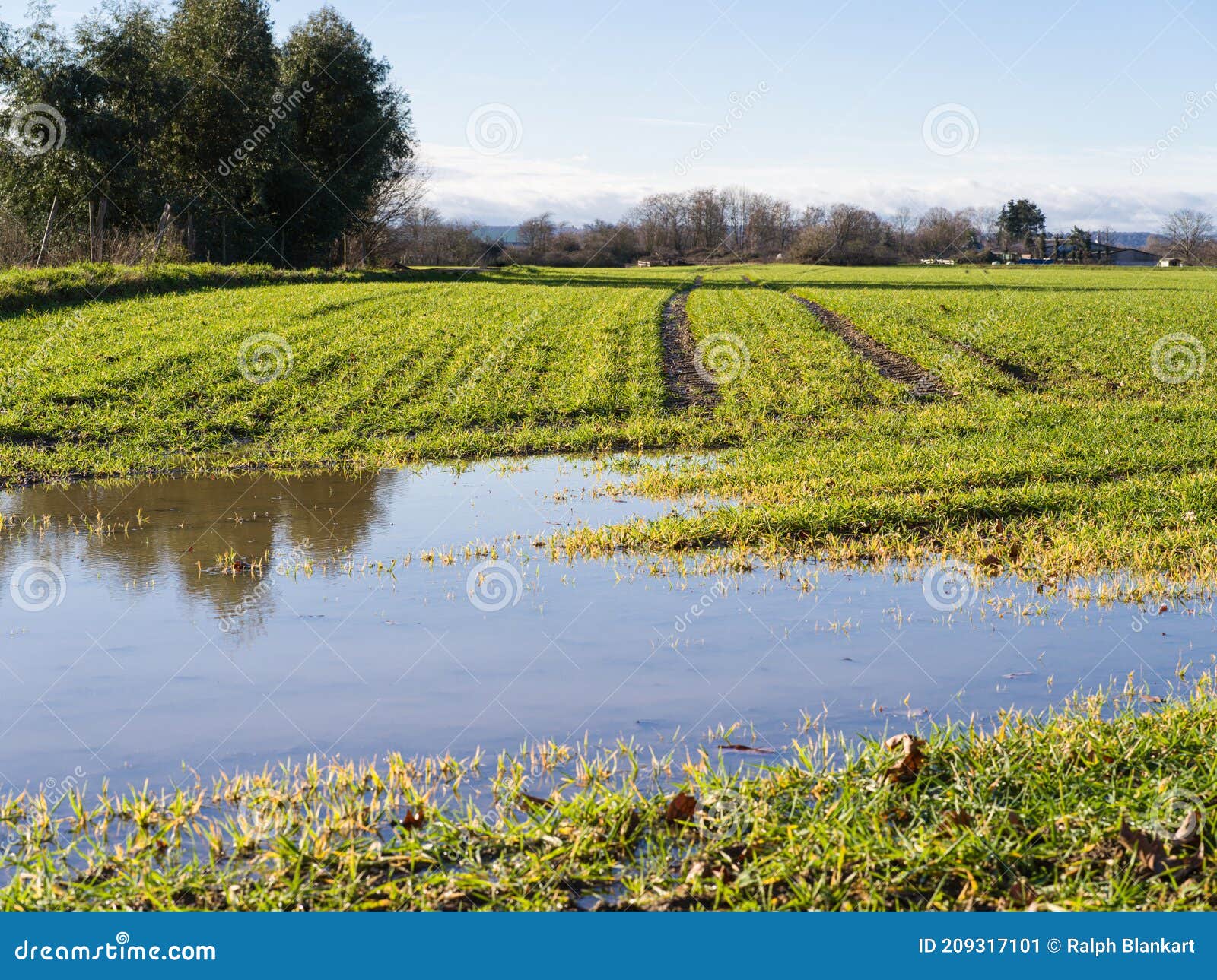 A Large Puddle on the Edge of a Fallow Field. Stock Image - Image of ...